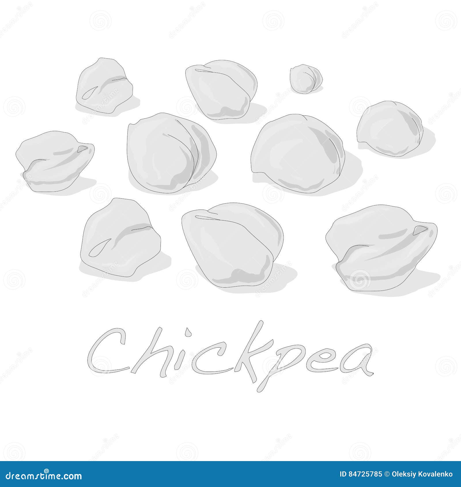 Uncooked Chickpeas on White Background Stock Vector - Illustration of ...