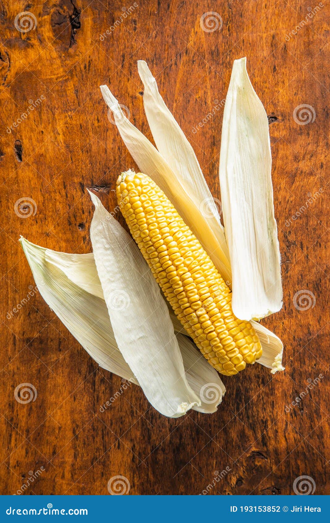 Uncooked corn cob stock photo. Image of maize, object - 193153852