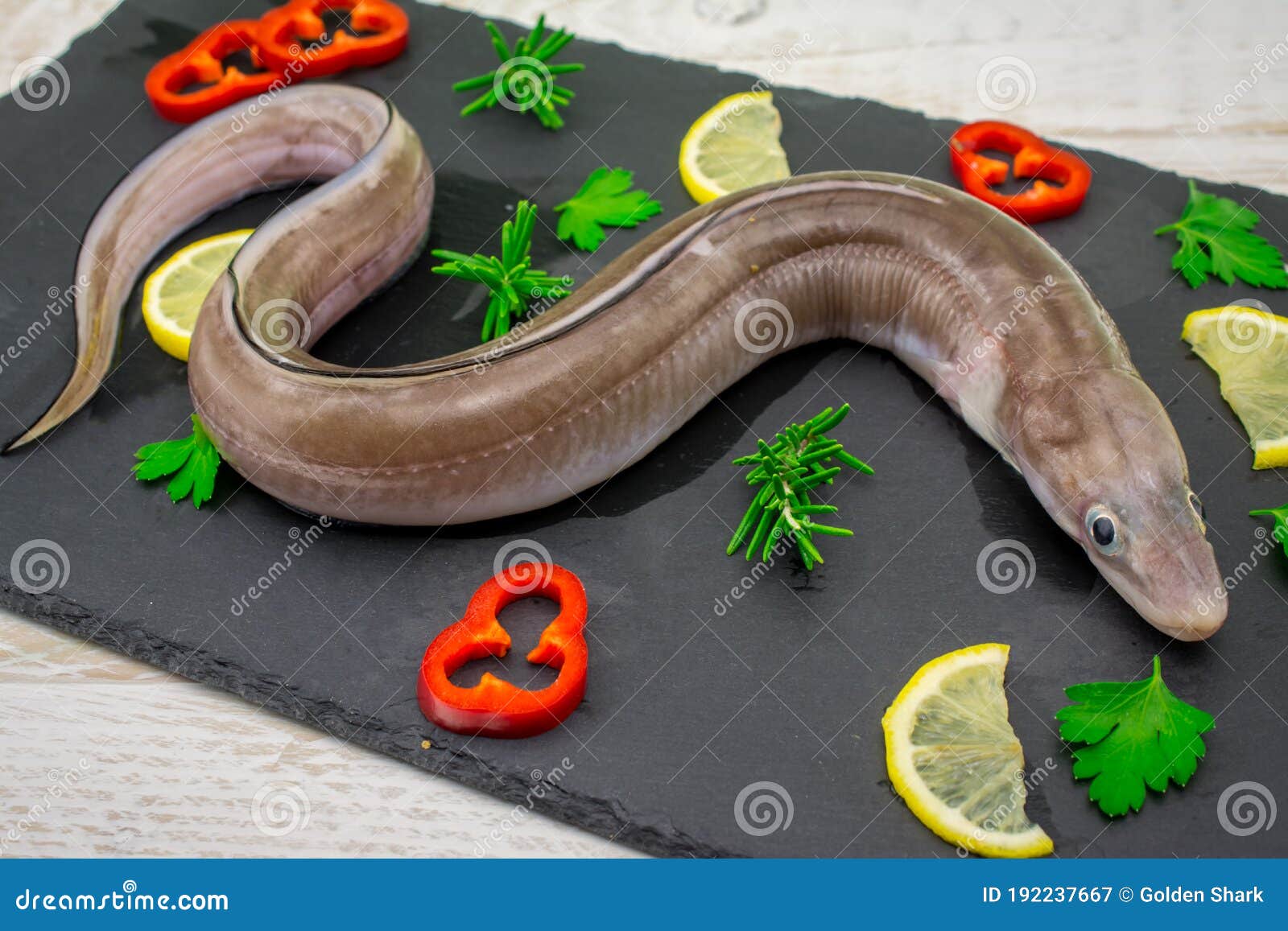 Uncooked Eel Fish, Conger,parsley, Salt and Lemon - Ingredients for ...