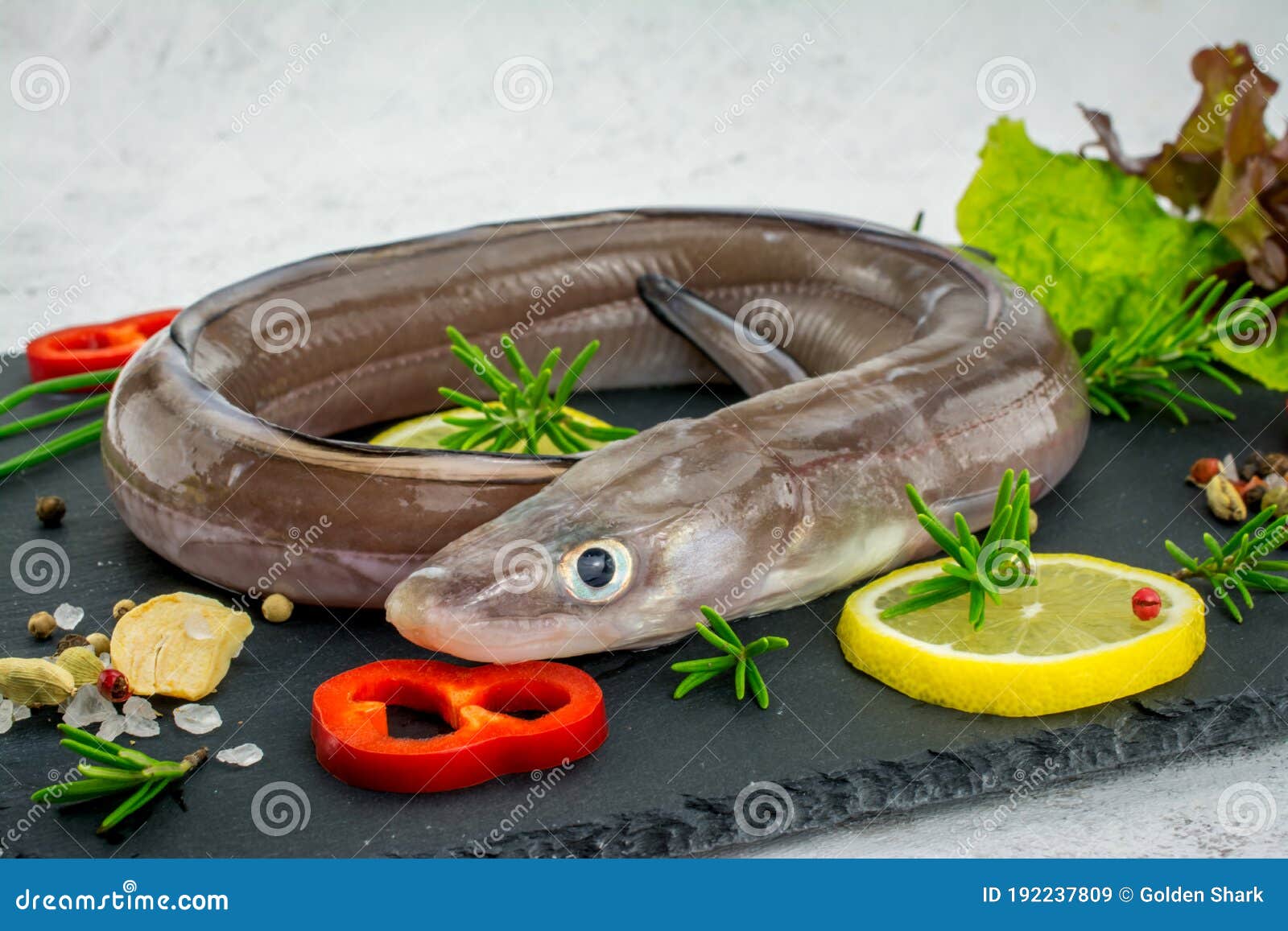 Uncooked Eel Fish, Conger,parsley, Salt and Lemon - Ingredients for ...