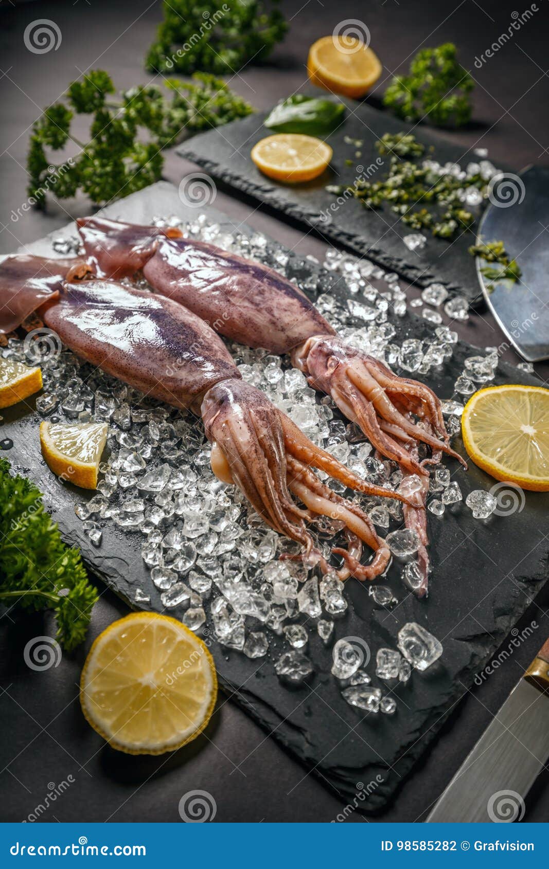Uncooked fresh cuttlefish stock photo. Image of closeup - 98585282