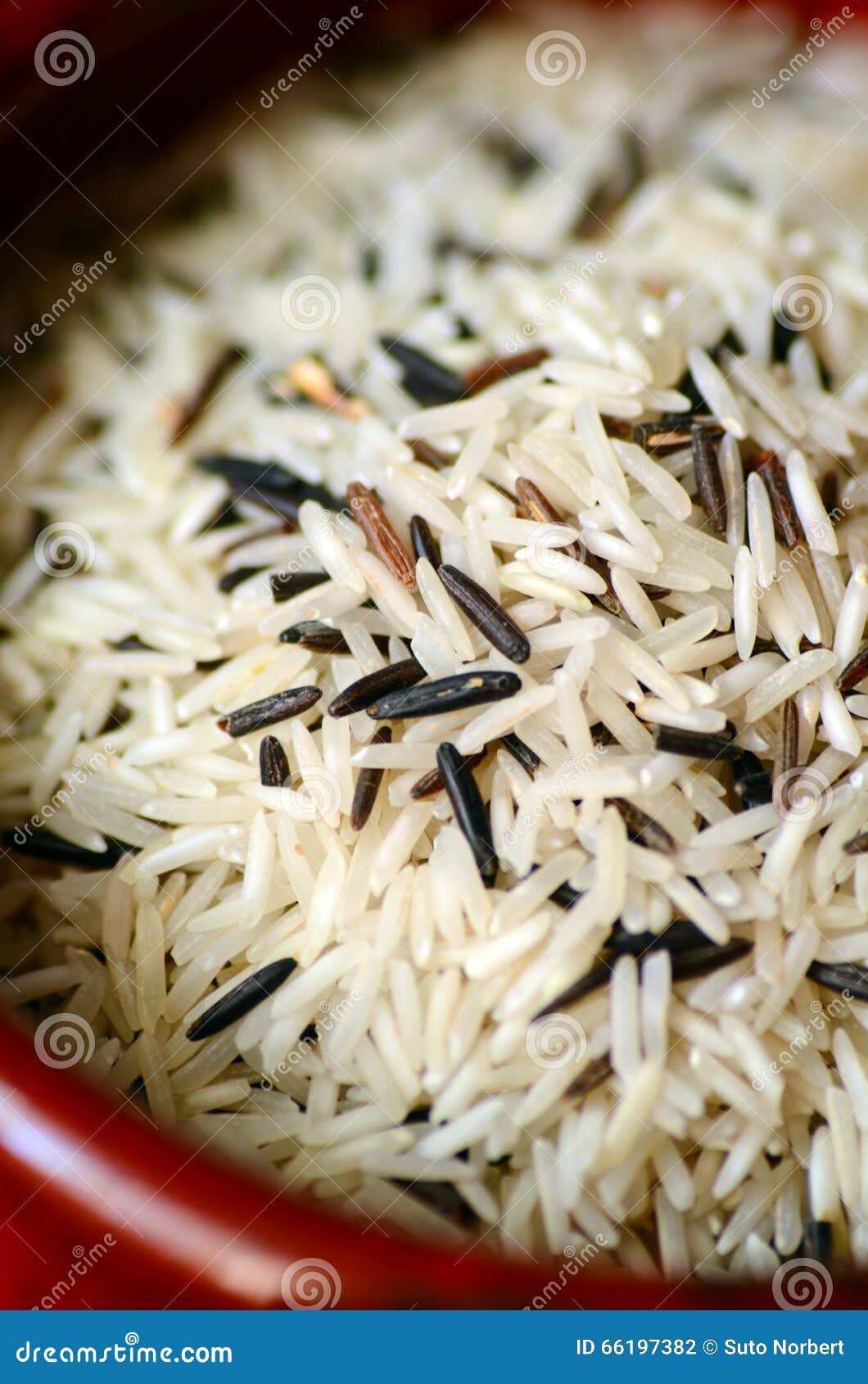 Uncooked Mixed Rice stock photo. Image of lunch, organic - 66197382