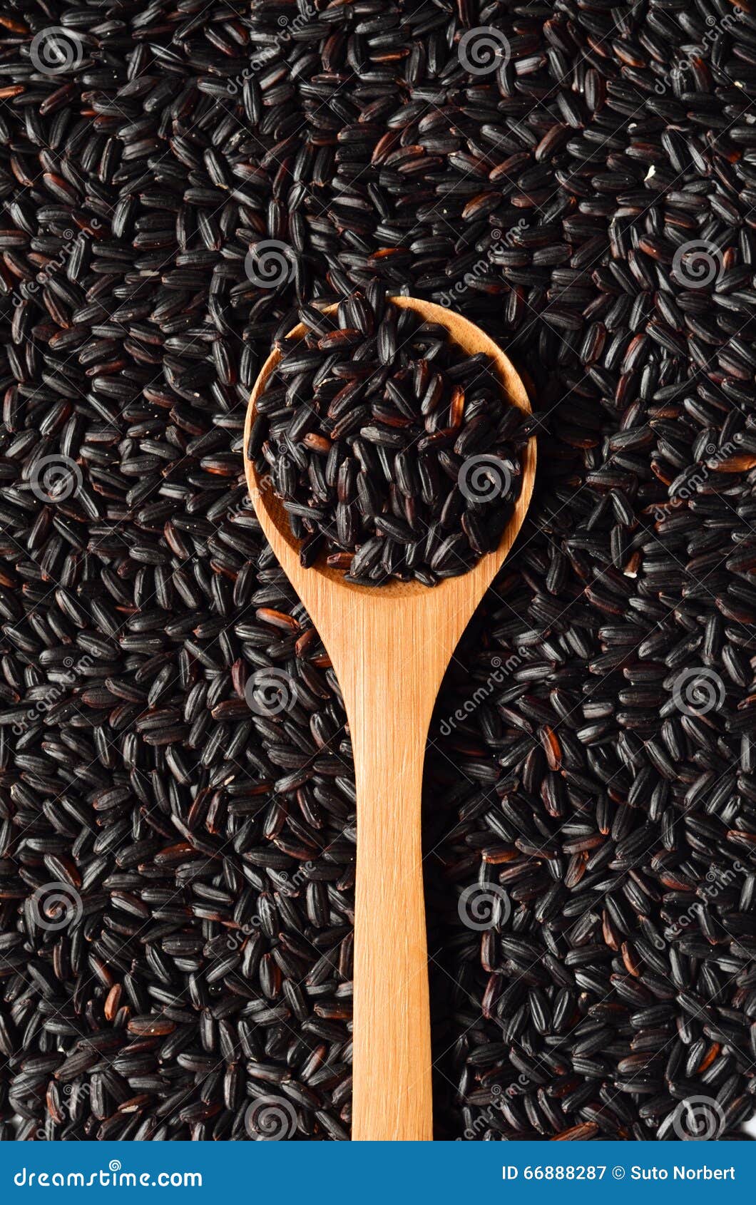 Uncooked, Organic Black Rice Stock Image - Image of black, meal: 66888287