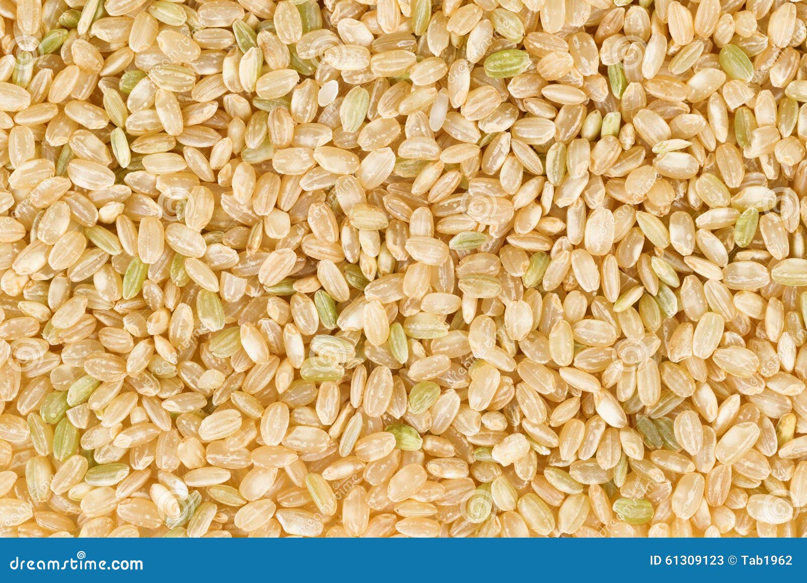 Uncooked Organic Brown Rice Stock Image - Image of agriculture, fiber ...