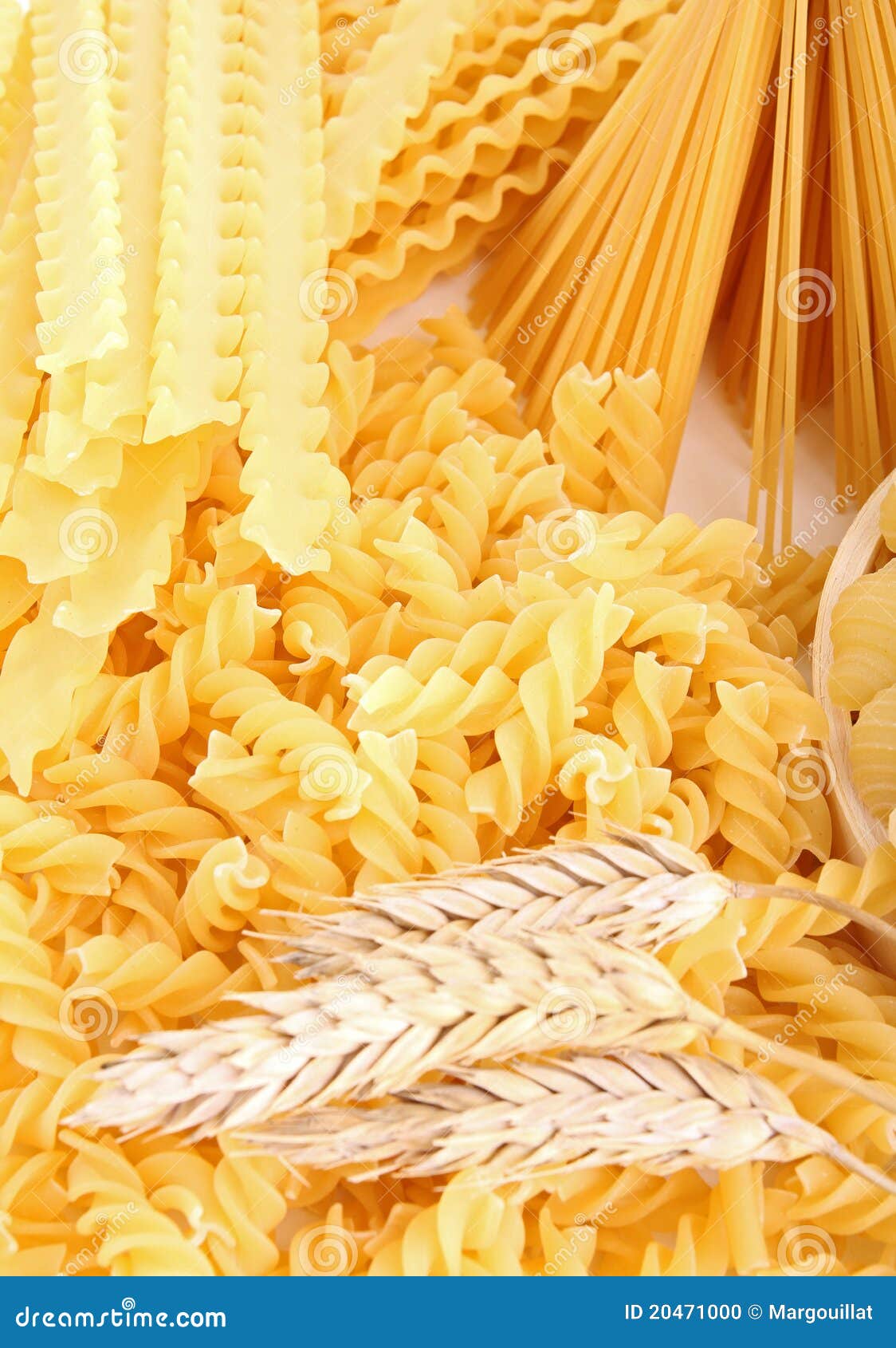 Uncooked pasta stock photo. Image of macaroni, pasta - 20471000