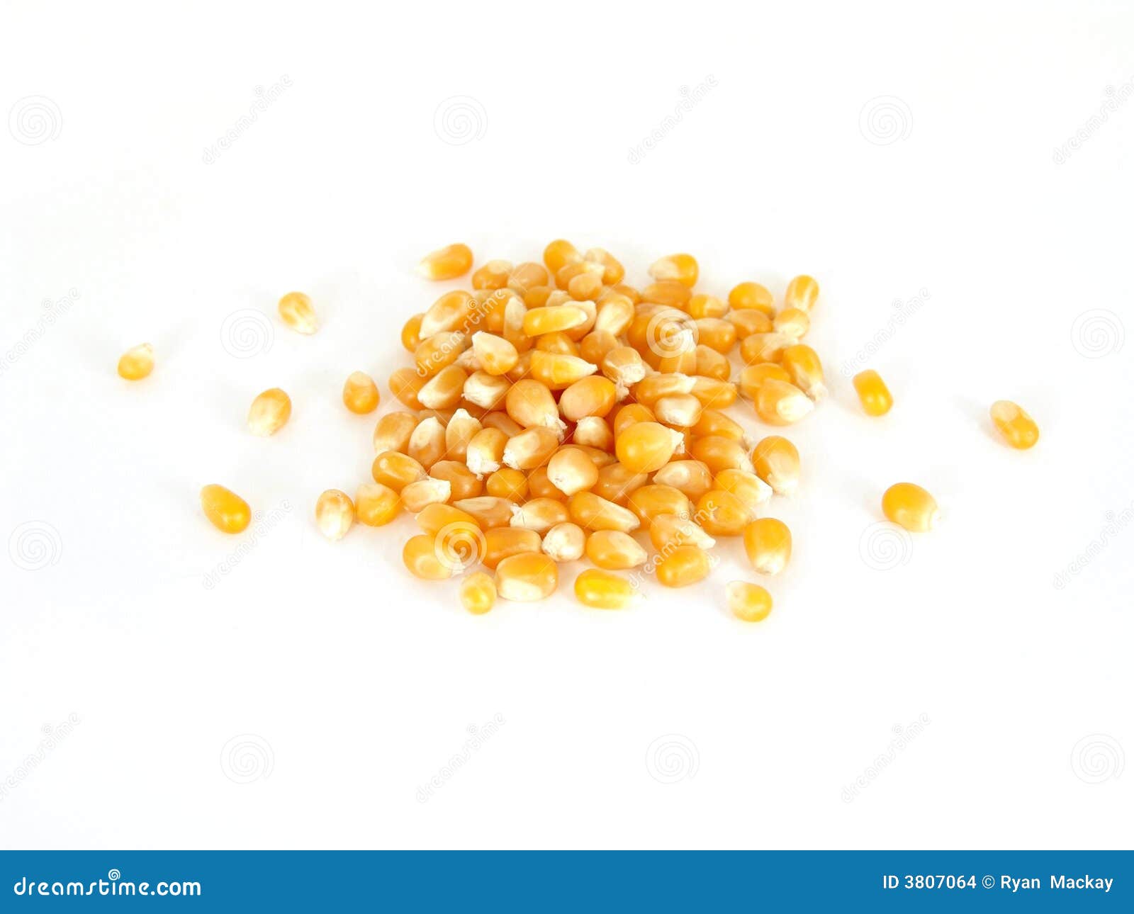 Uncooked Popcorn Stock Image | CartoonDealer.com #48274675