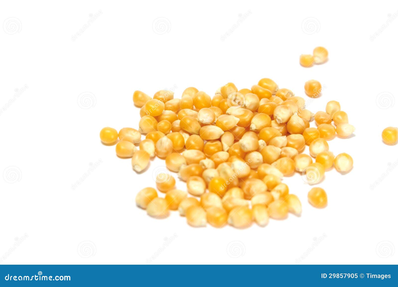 Isolated popping corn stock image. Image of yellow, kernels - 29857905