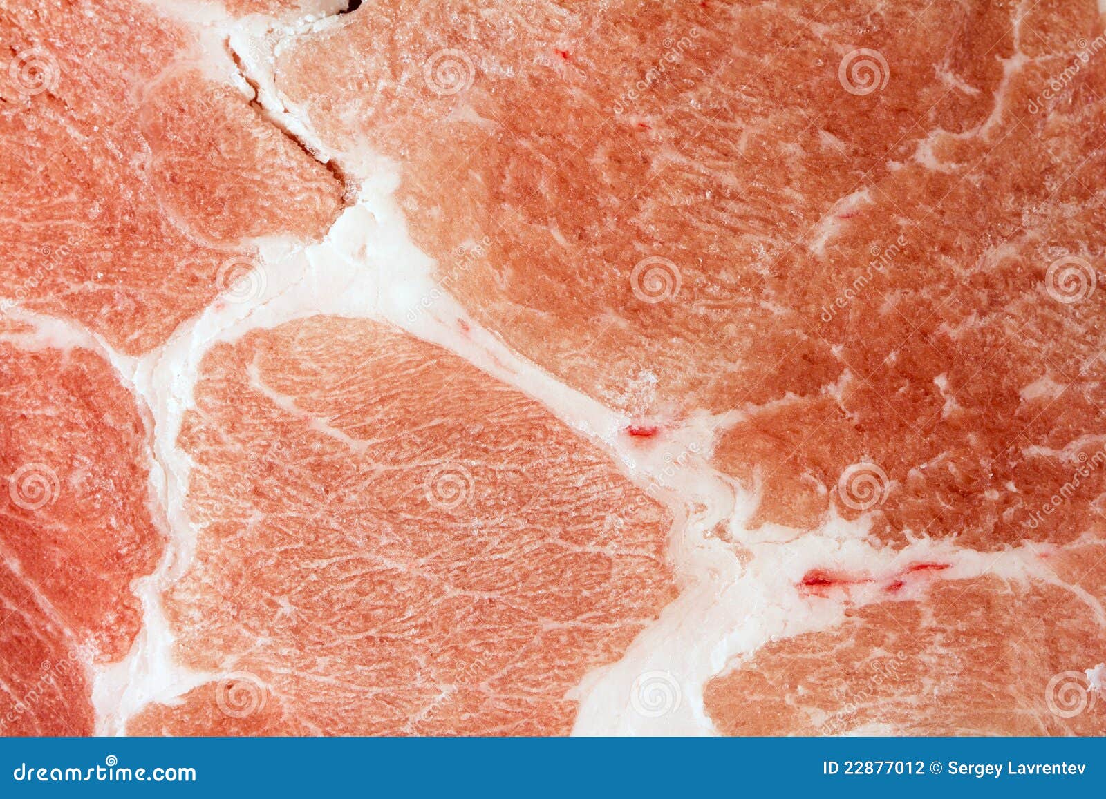 Uncooked pork chops stock photo. Image of uncooked, fresh - 22877012