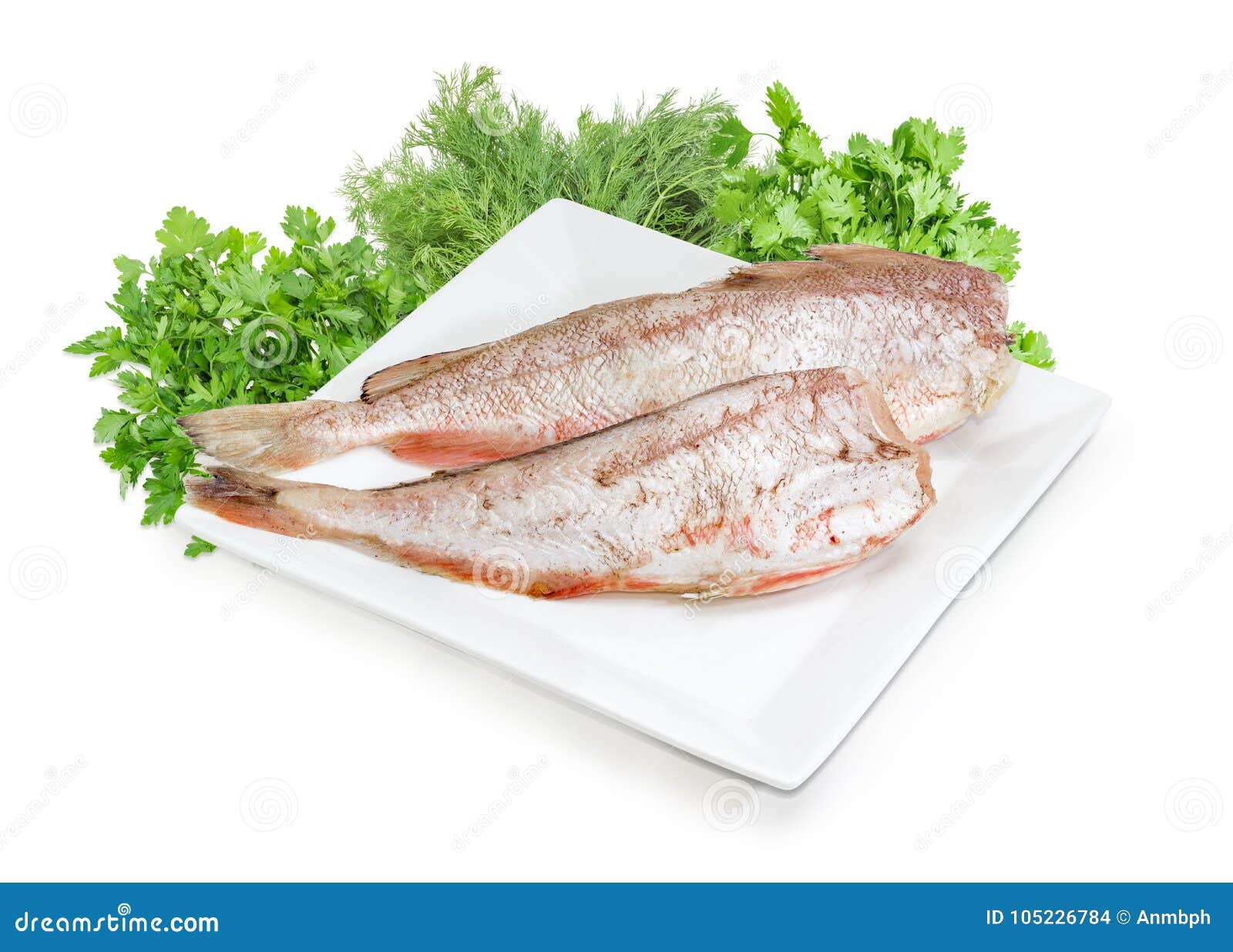 Uncooked Red Cod on White Dish and Herbs Stock Photo - Image of kitchen ...
