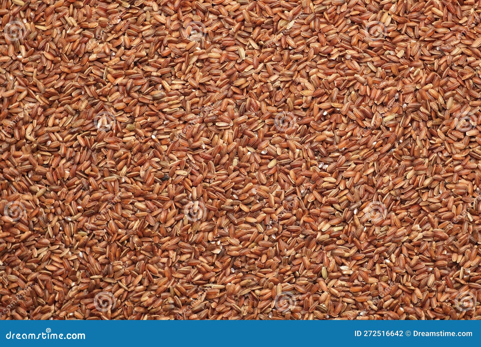 Uncooked Red Rice Wallpaper. Long Brown Rice Rotating. Close Up. Grains ...