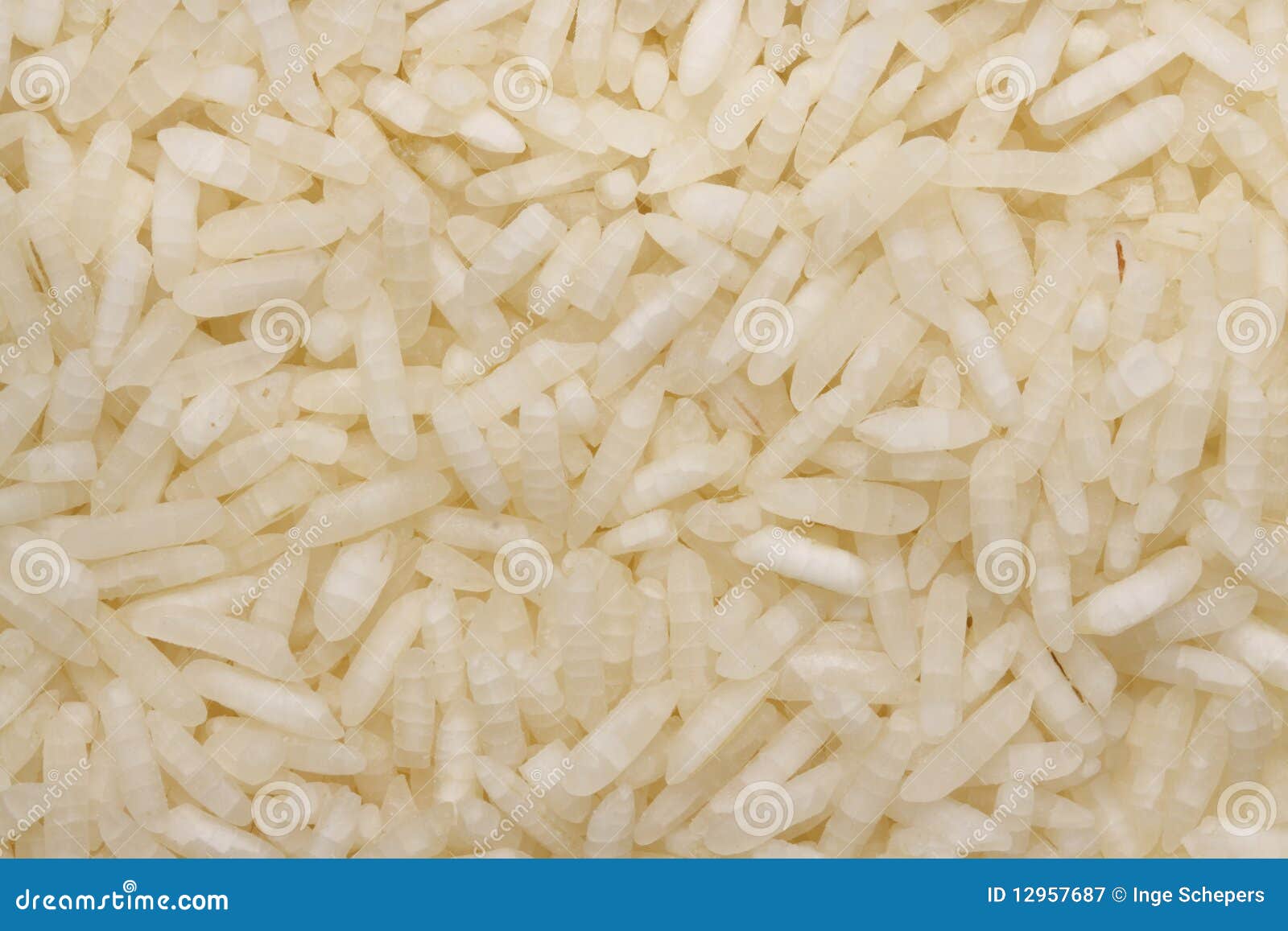 Uncooked Rice stock image. Image of rice, uncooked, texture - 12957687