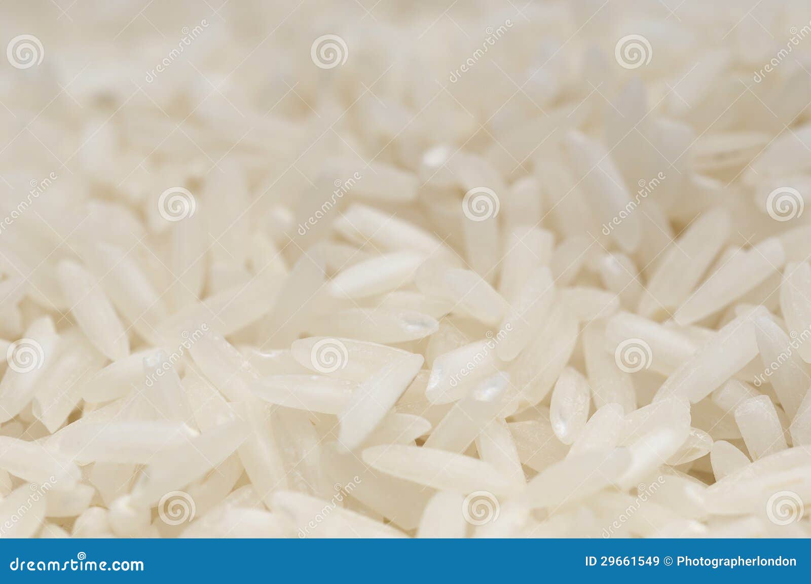 Uncooked Rice stock image. Image of organic, nutrient - 29661549