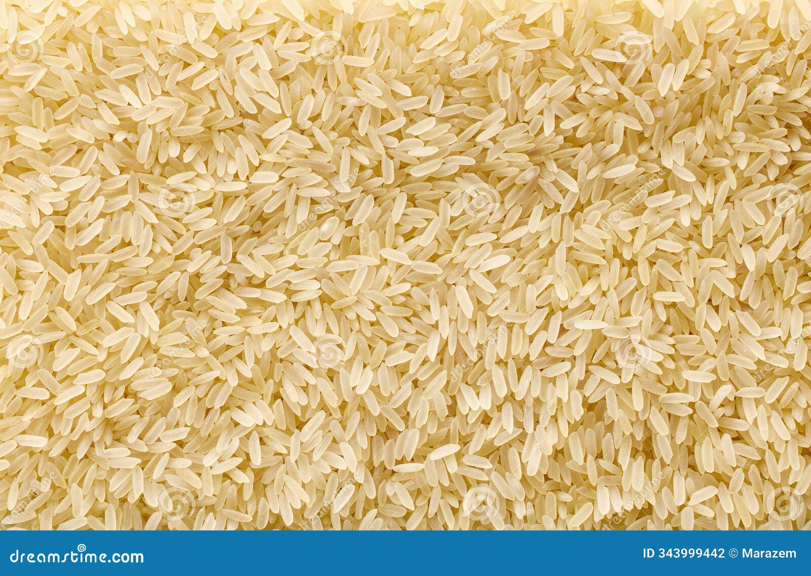 Uncooked Rice Dumplings Royalty-Free Stock Photo | CartoonDealer.com ...