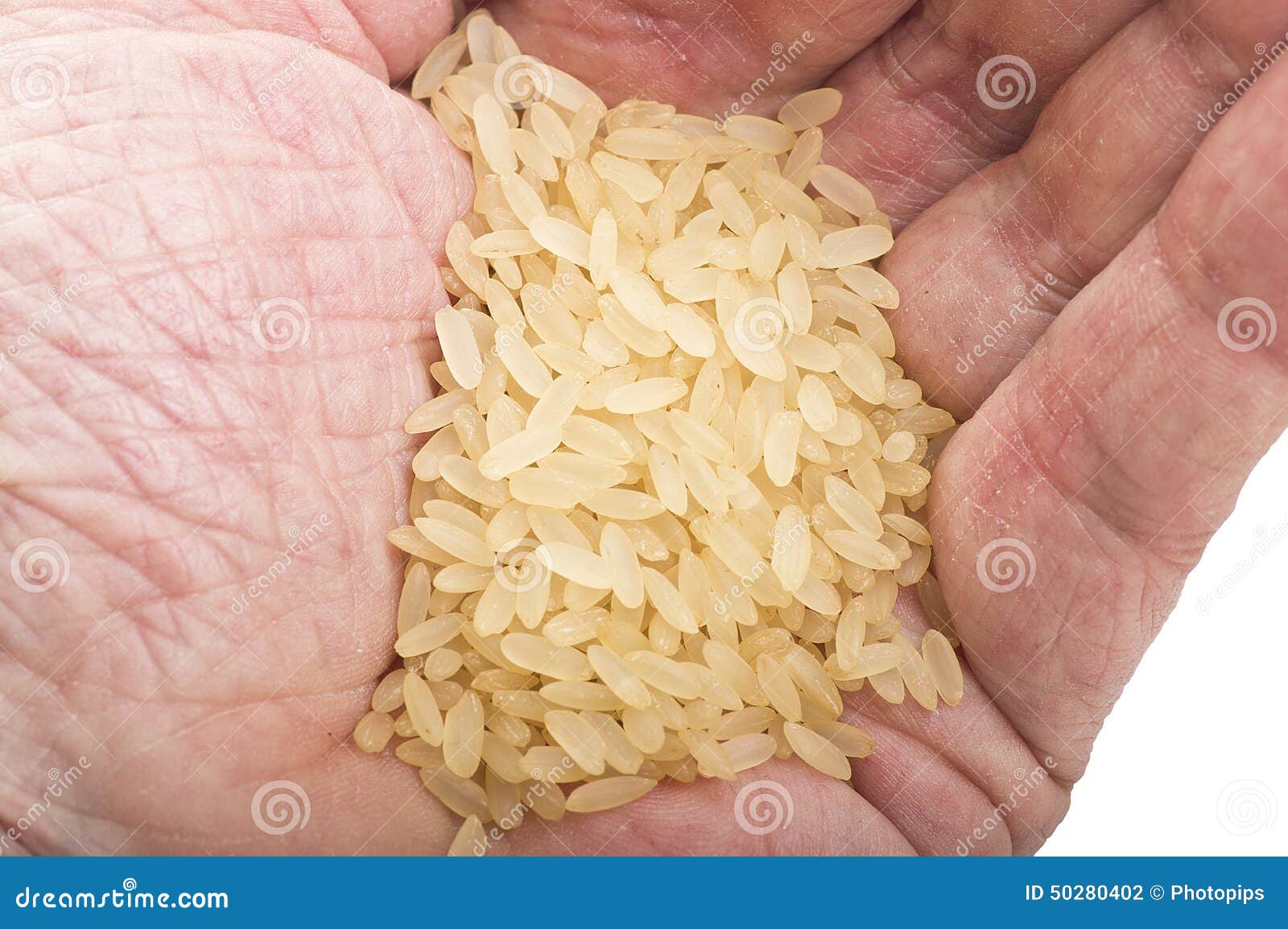 Uncooked rice stock photo. Image of farming, natural - 50280402