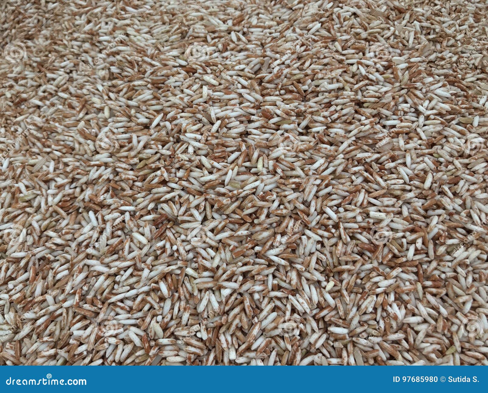 Uncooked rice stock photo. Image of grain, organic, backdrop - 97685980