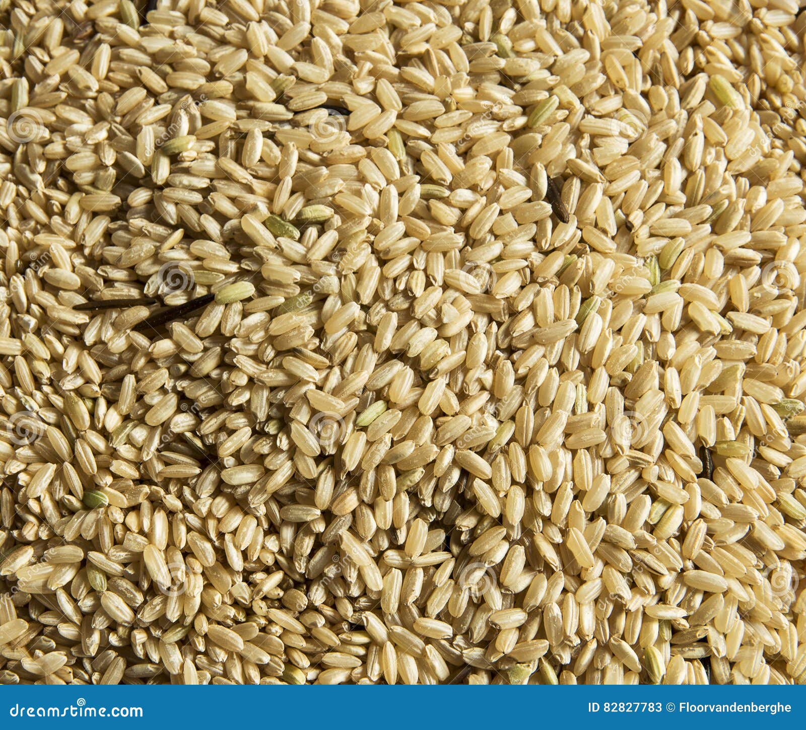 Uncooked rice Texture stock image. Image of organic, background - 82827783