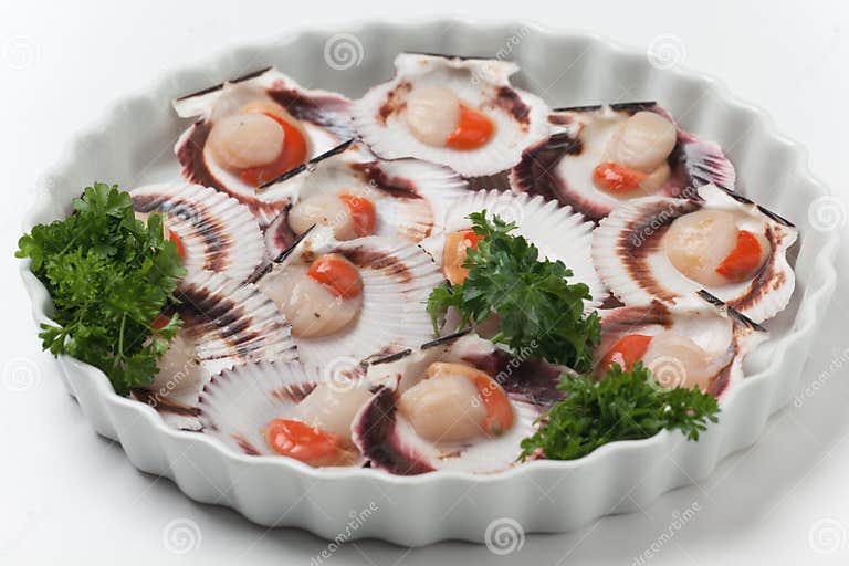 Uncooked scallops stock photo. Image of culinary, mollusk - 11500102