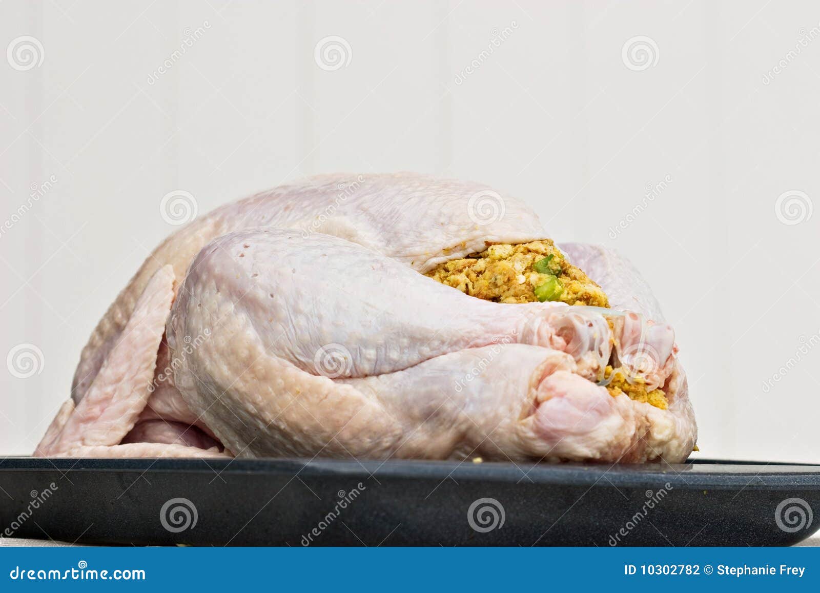 Uncooked stuffed turkey stock photo. Image of poultry - 10302782