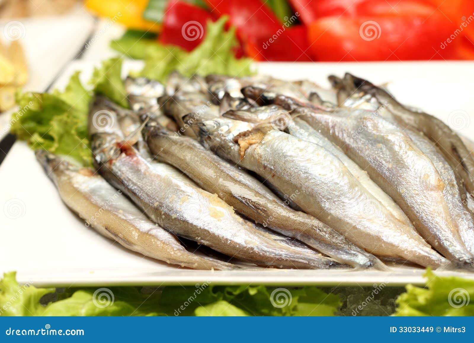 Uncooked trunk small fish stock image. Image of fish - 33033449
