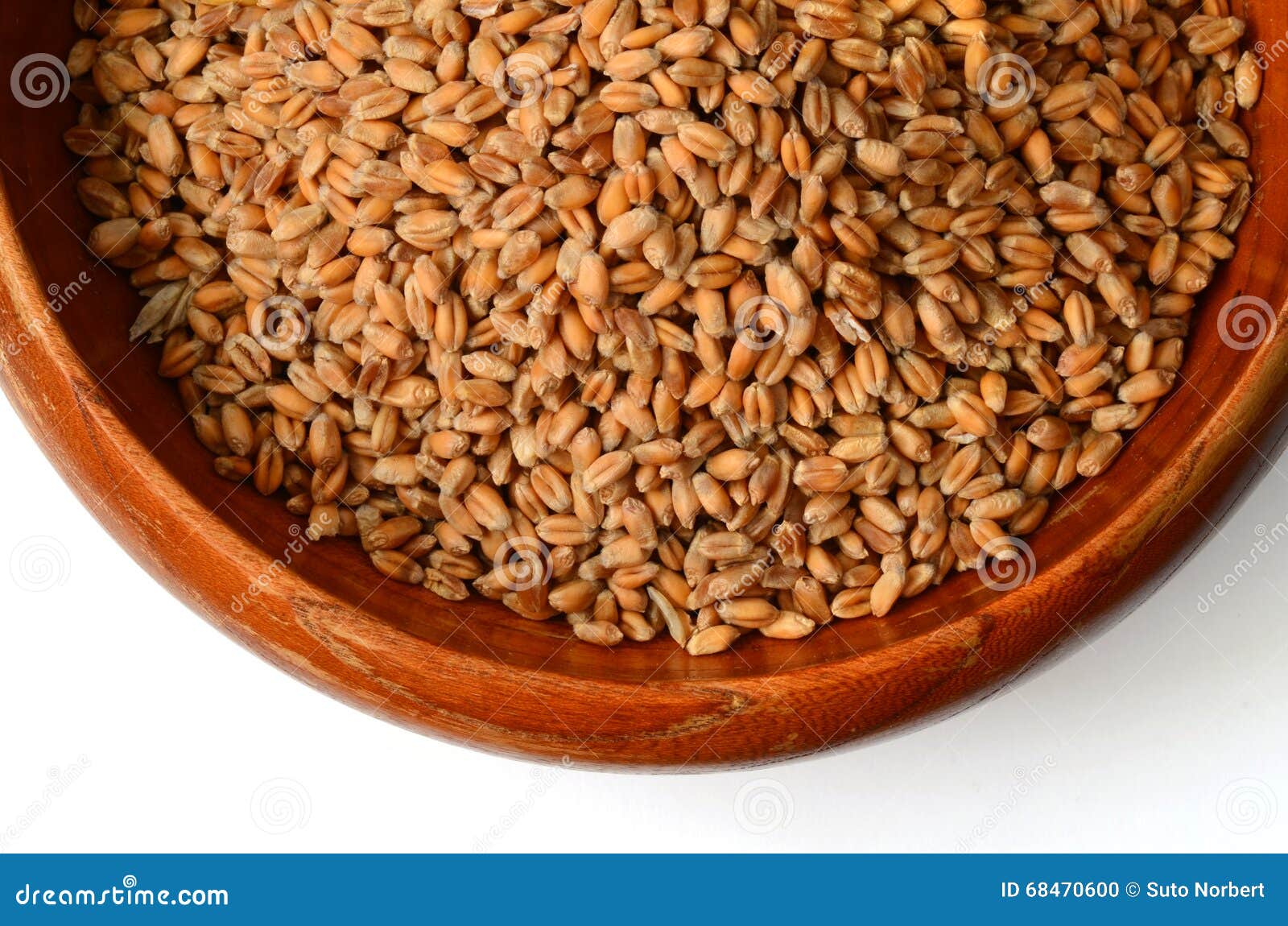 Uncooked wheat grain stock photo. Image of bunch, meal - 68470600