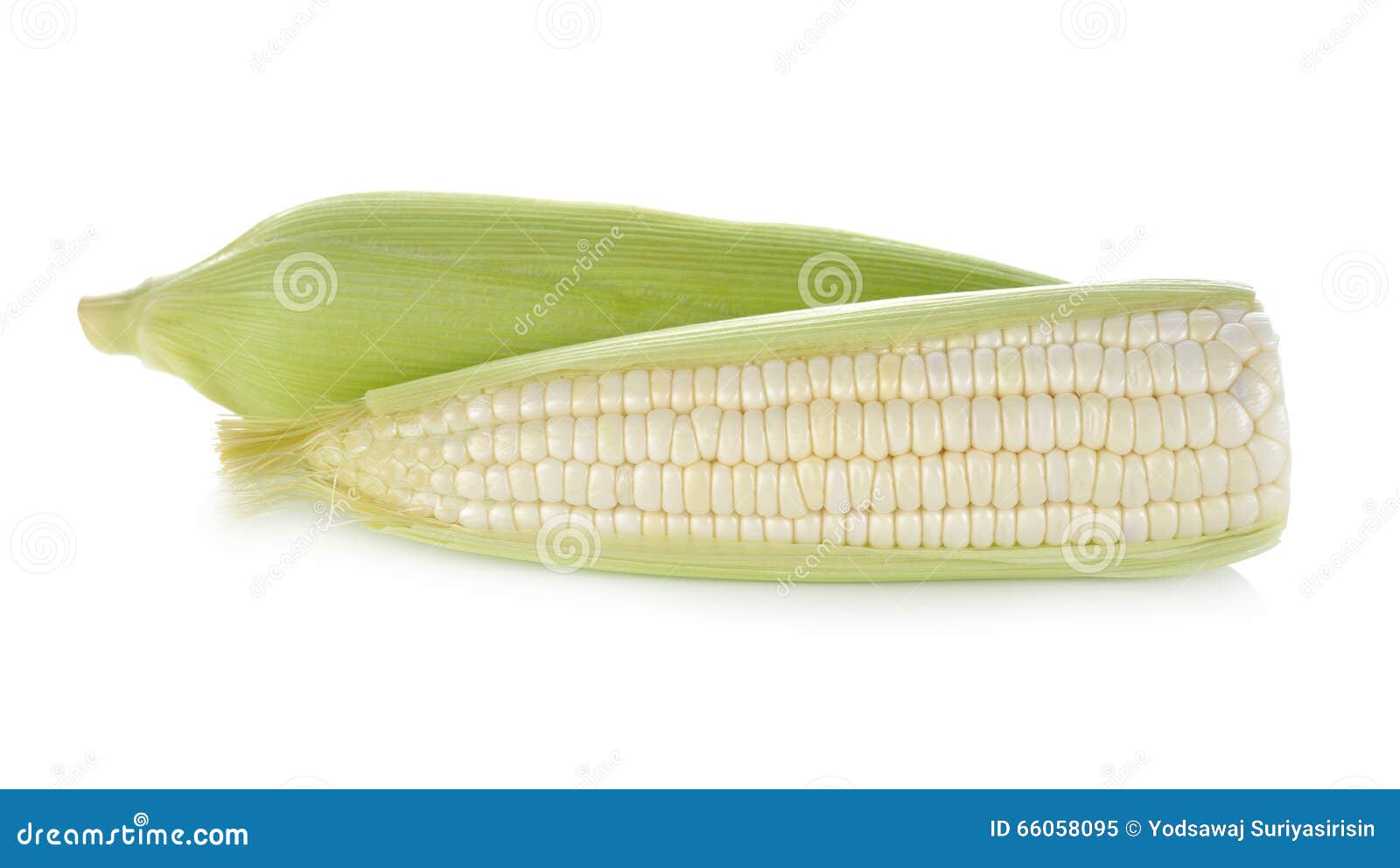 Uncooked White Corn with Leaf on White Stock Image - Image of health ...