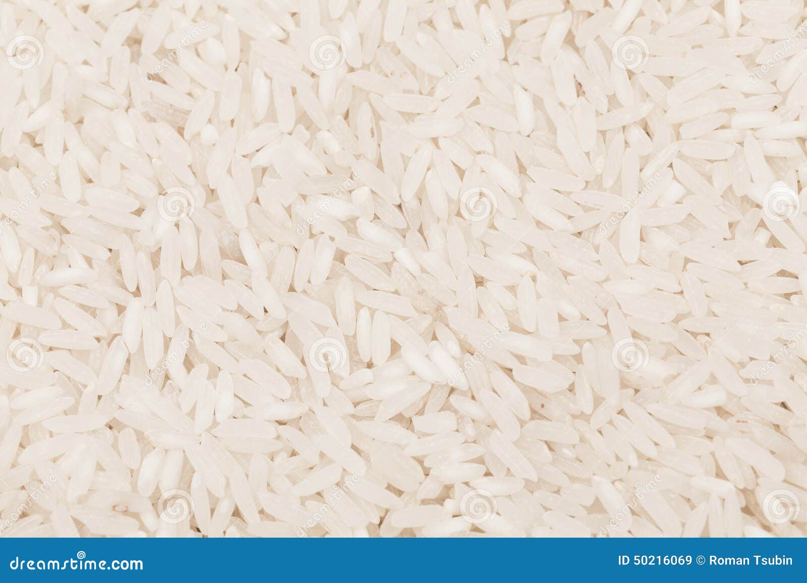Uncooked white rice stock image. Image of gourmet, long - 50216069