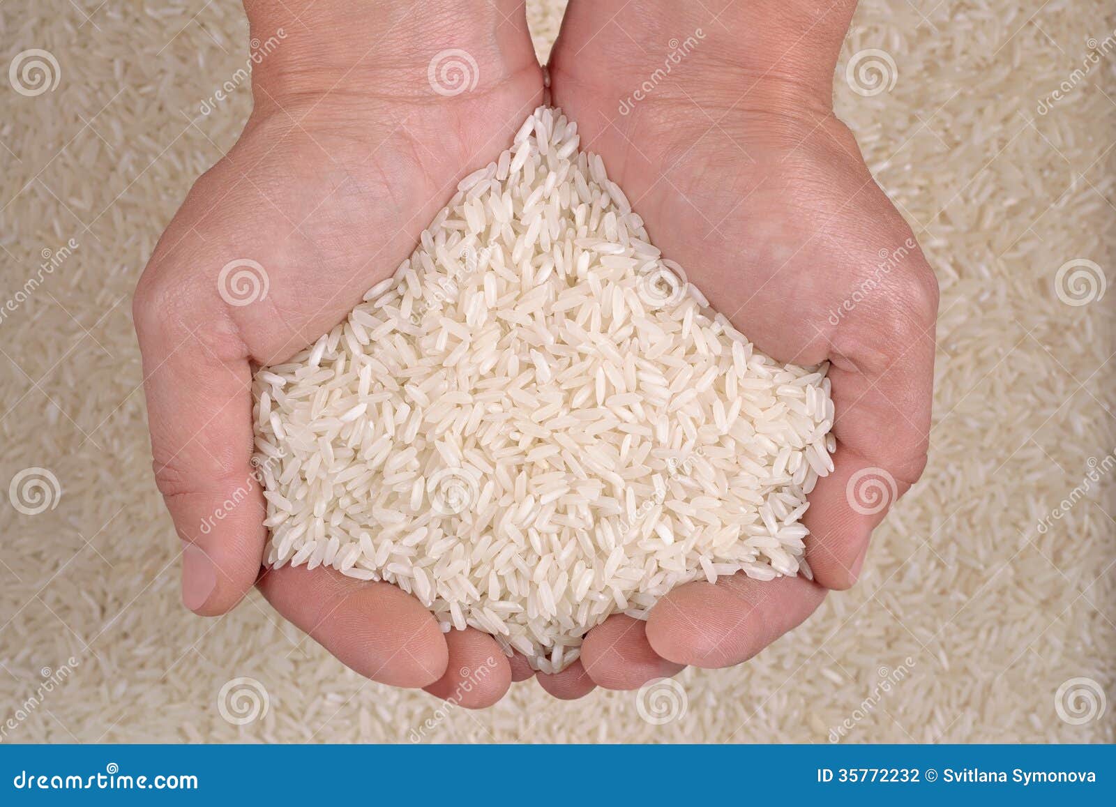 Uncooked White Rice in the Hands Stock Photo - Image of heap, handful ...