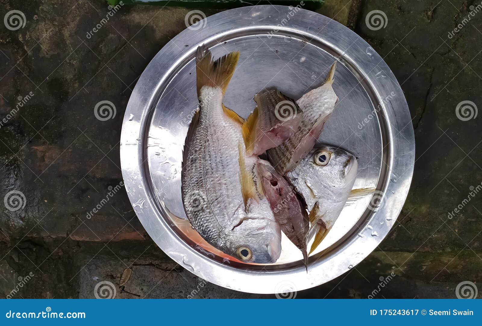 Uncooked whole fish stock image. Image of tasty, nonveg - 175243617