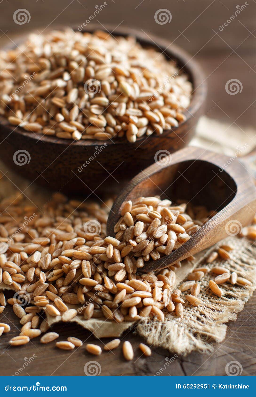 Uncooked Whole Spelt in a Bowl with a Wooden Spoon Stock Image - Image ...