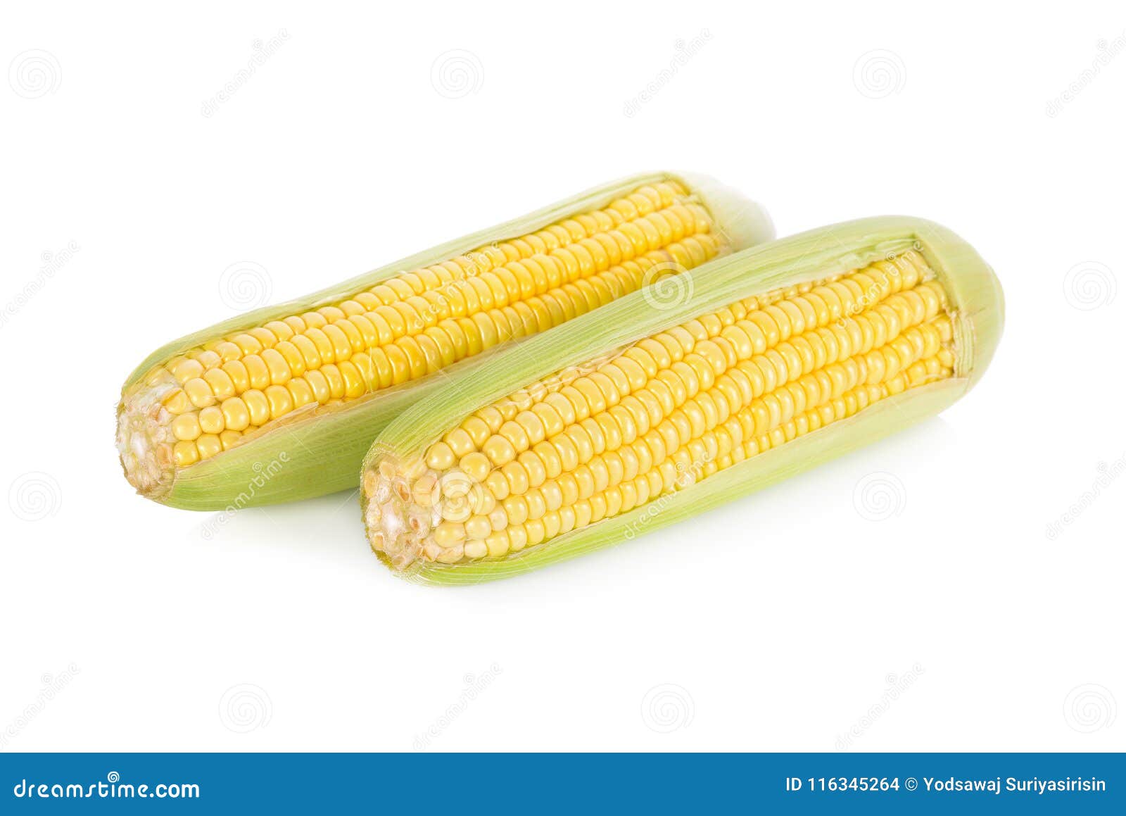 Uncooked Whole Sweet Corn with Shell on White Background Stock Photo ...