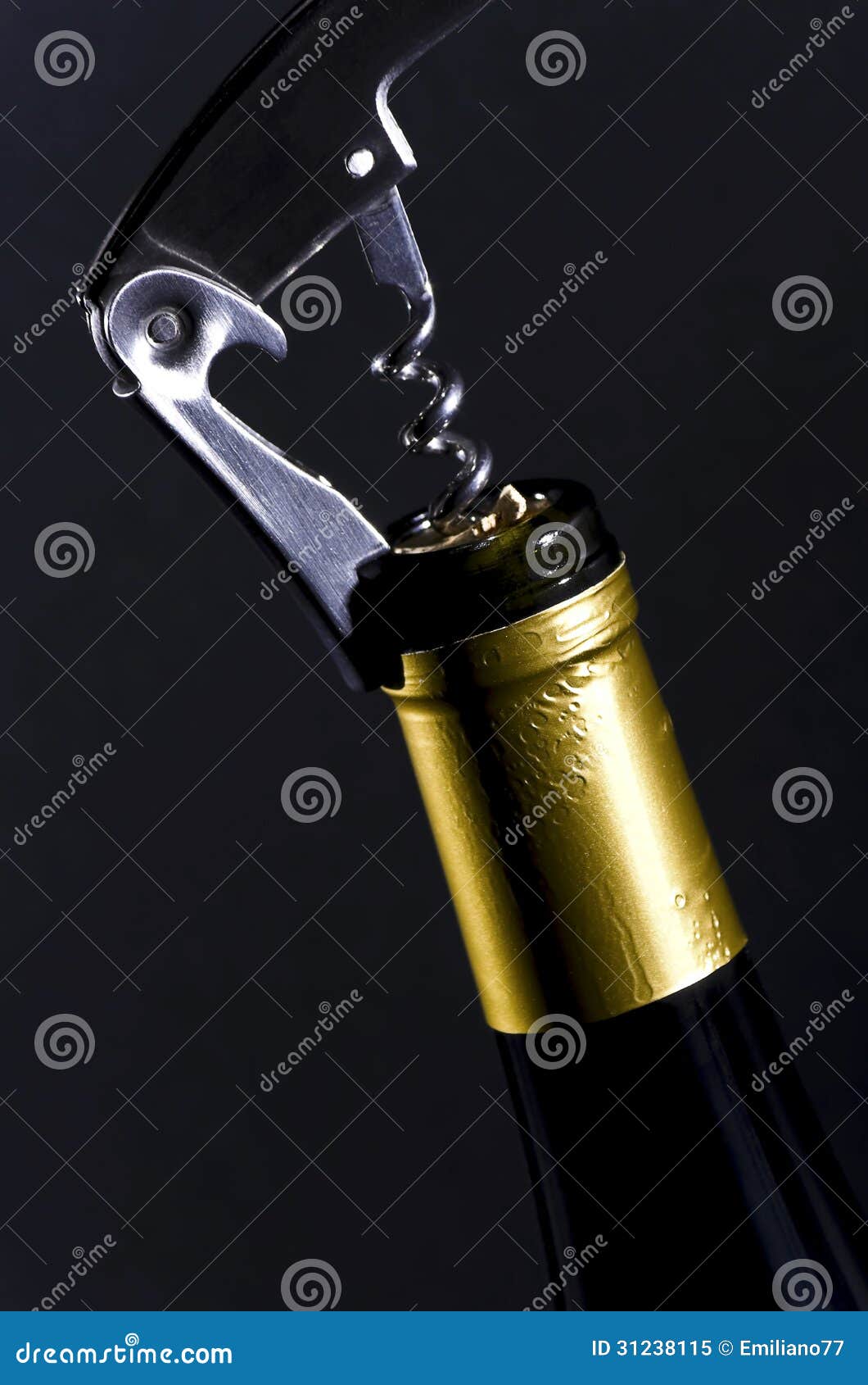 Uncorking a red wine stock image. Image of food, copyspace - 31238115
