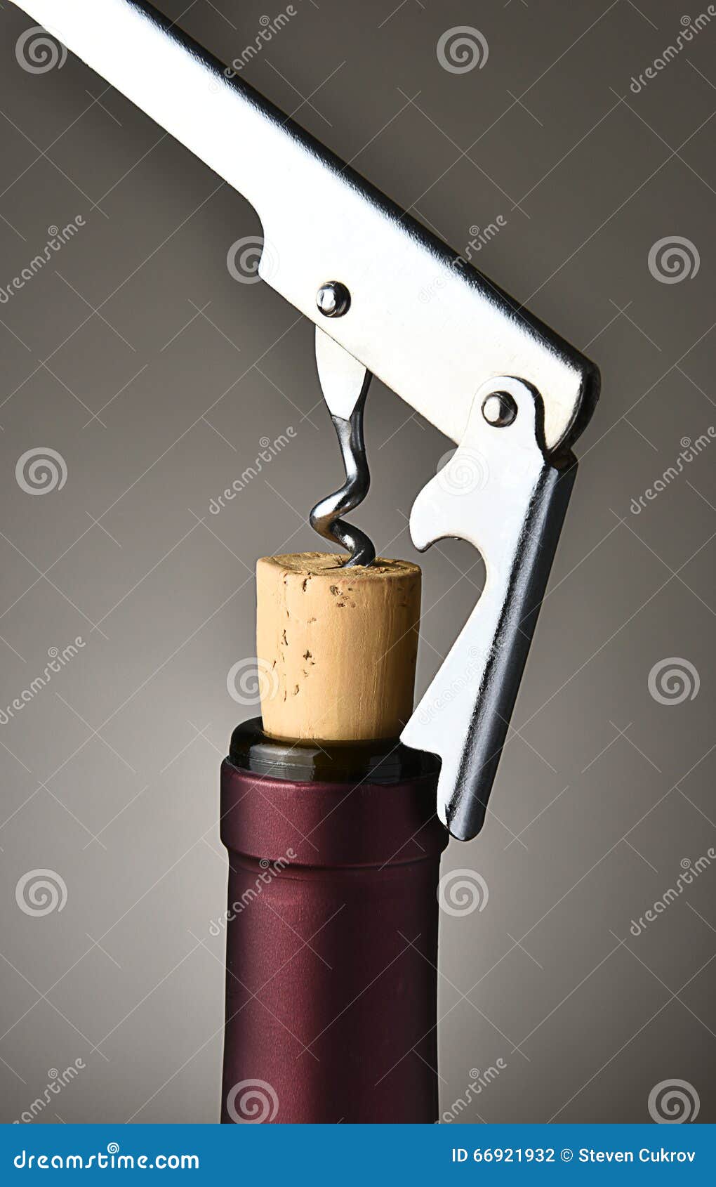 Uncorking Wine Bottle stock photo. Image of wine, vertical - 66921932