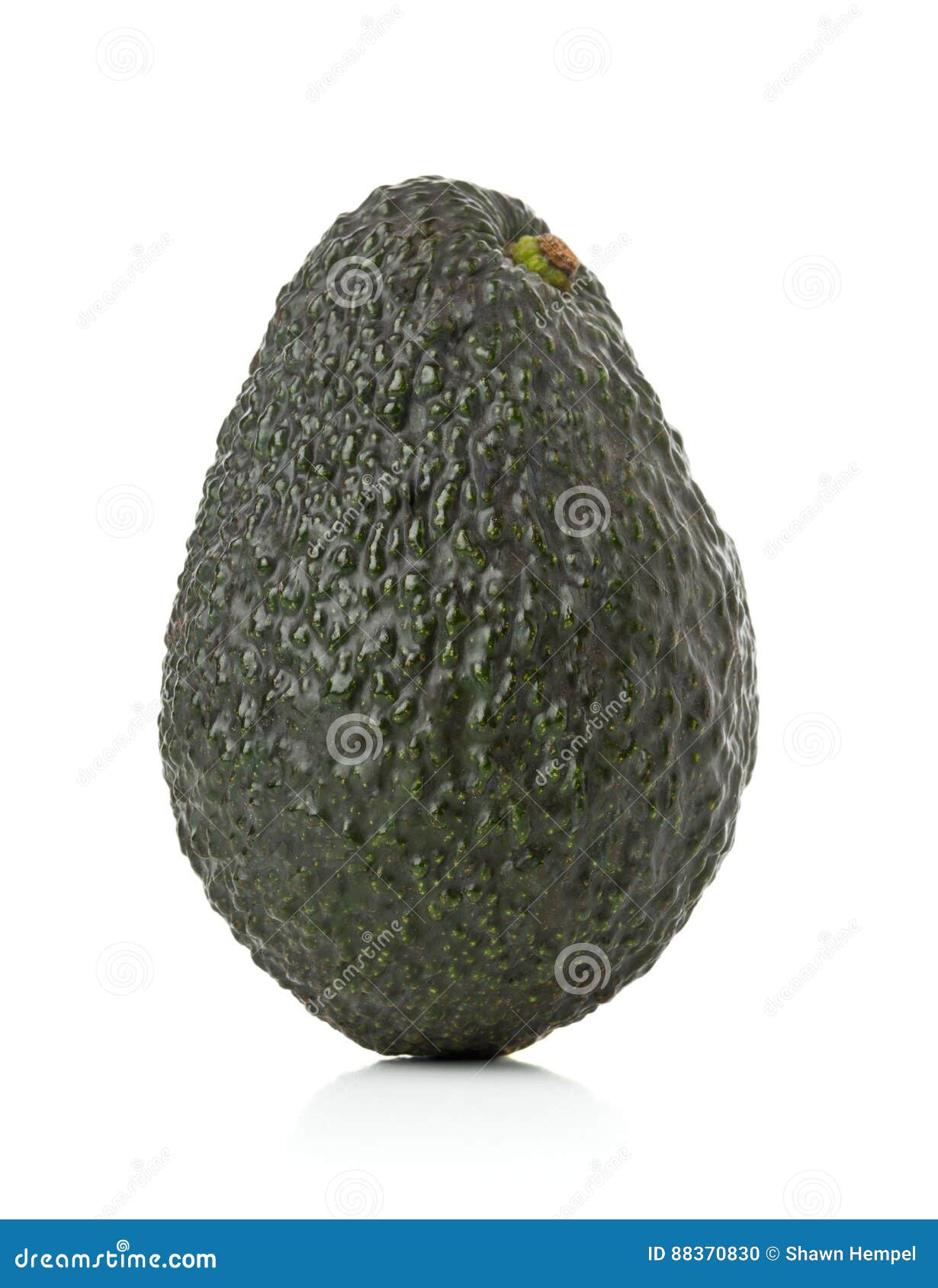 Uncut, Whole, Ripe Avocado Fruit Stock Photo - Image of fresh, summer ...