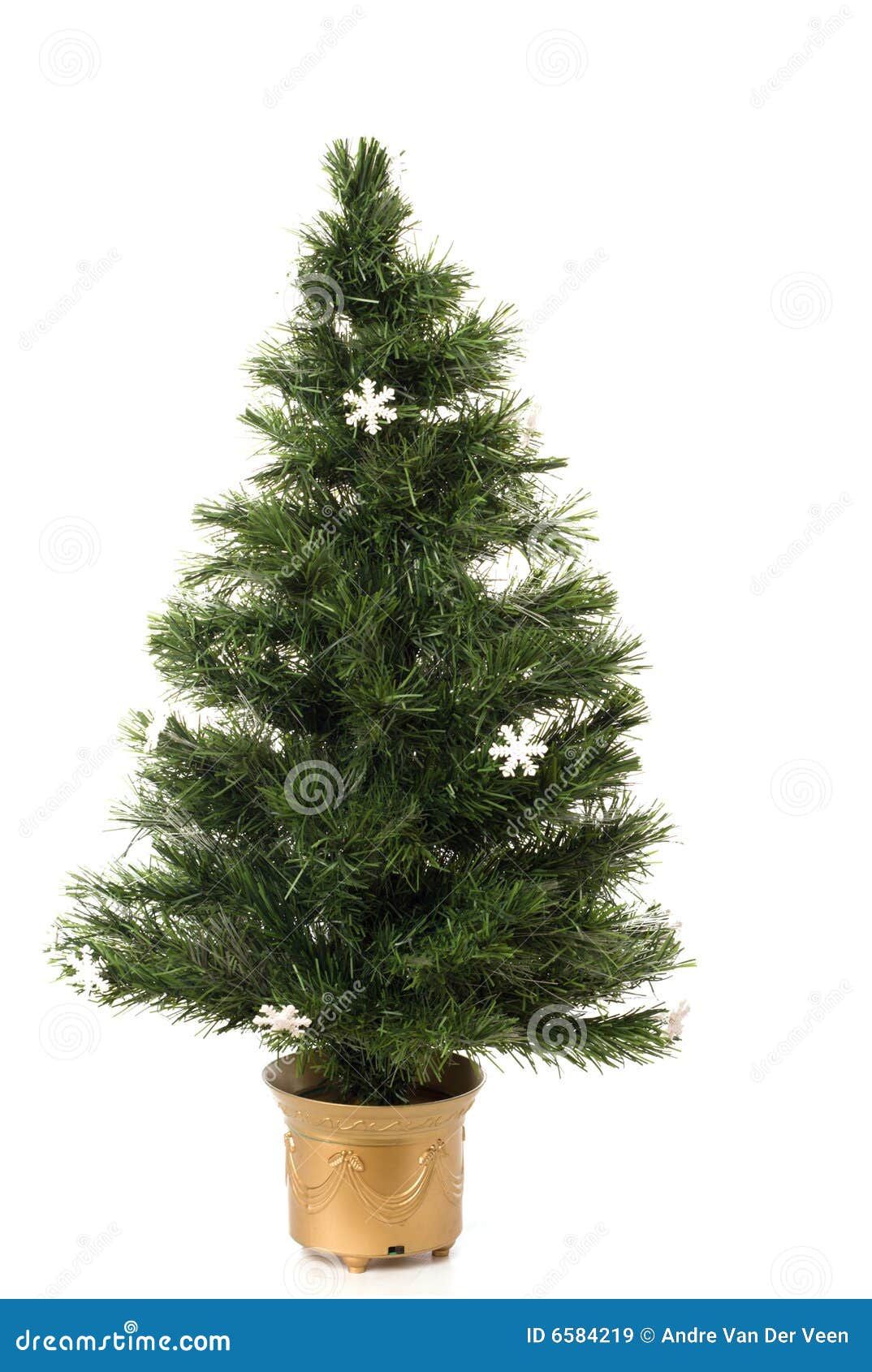 Undecorated Christmas tree stock image. Image of celebrate - 6584219