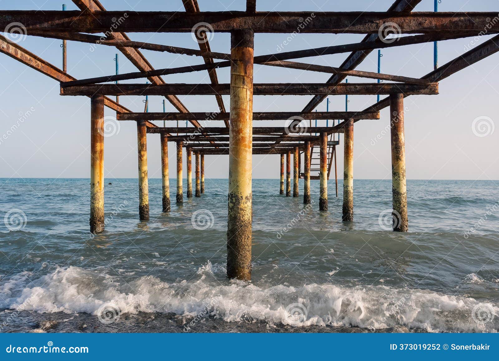 Abandoned Rusty SUVs In Forest Royalty-Free Stock Photography ...