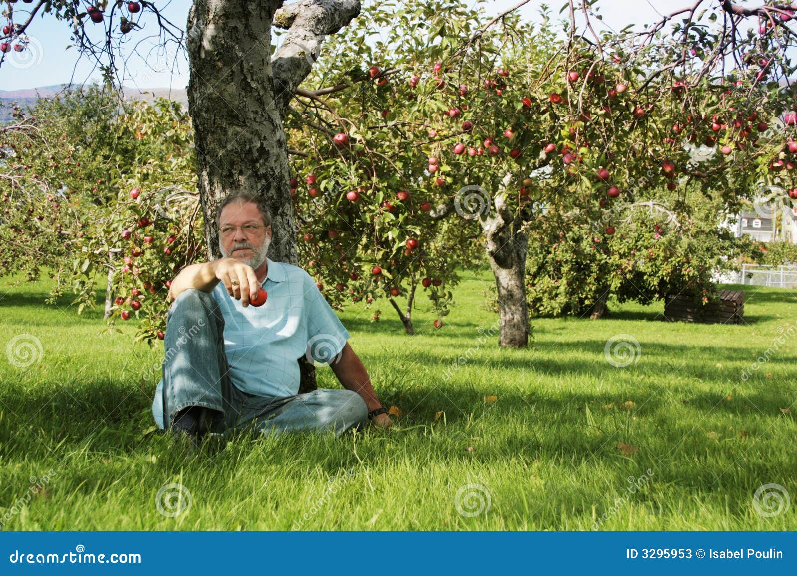 Under the apple tree stock image. Image of fresh, ederly - 3295953