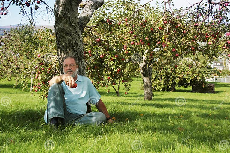 Under the apple tree stock image. Image of fresh, ederly - 3295953