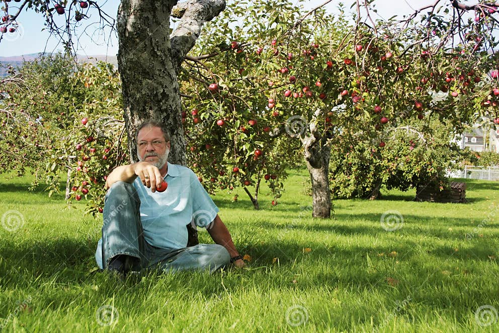 Under the apple tree stock image. Image of fresh, ederly - 3295953