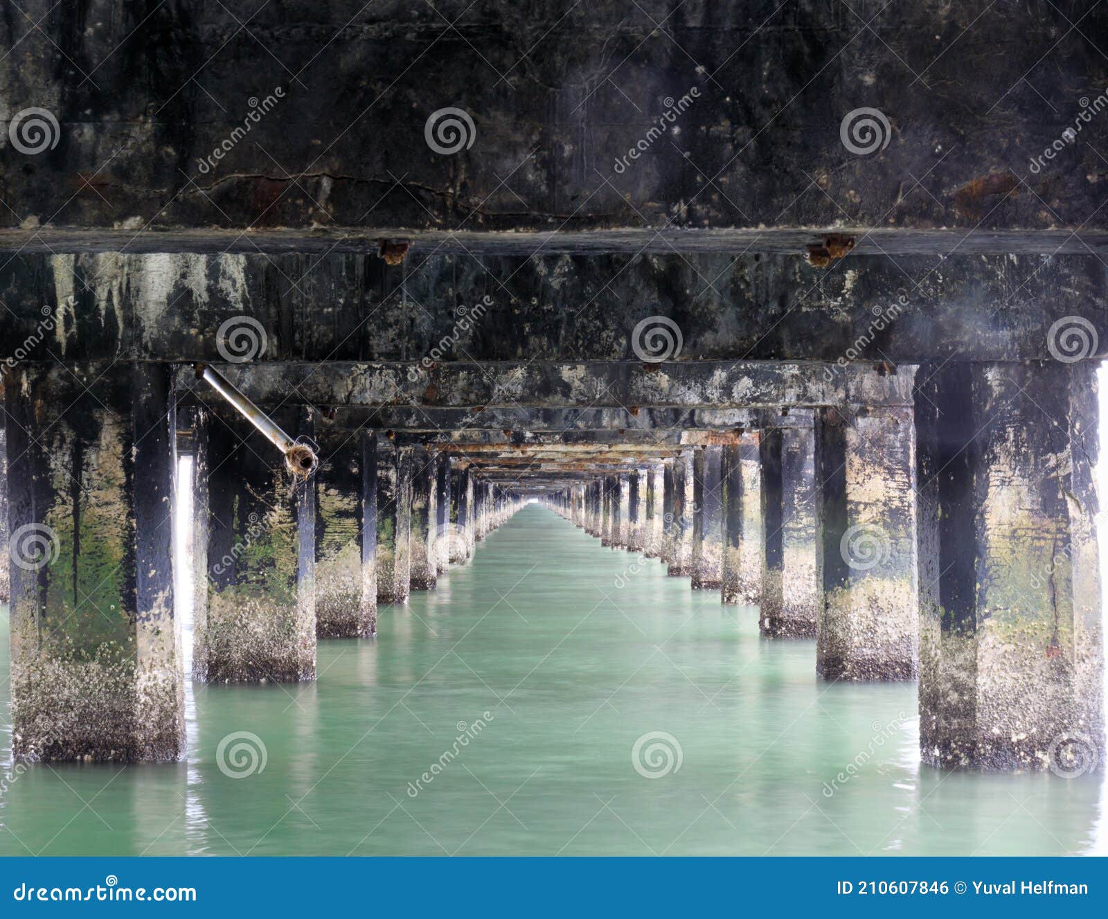 Under Berkeley Pier stock photo. Image of grunge, landmark - 210607846