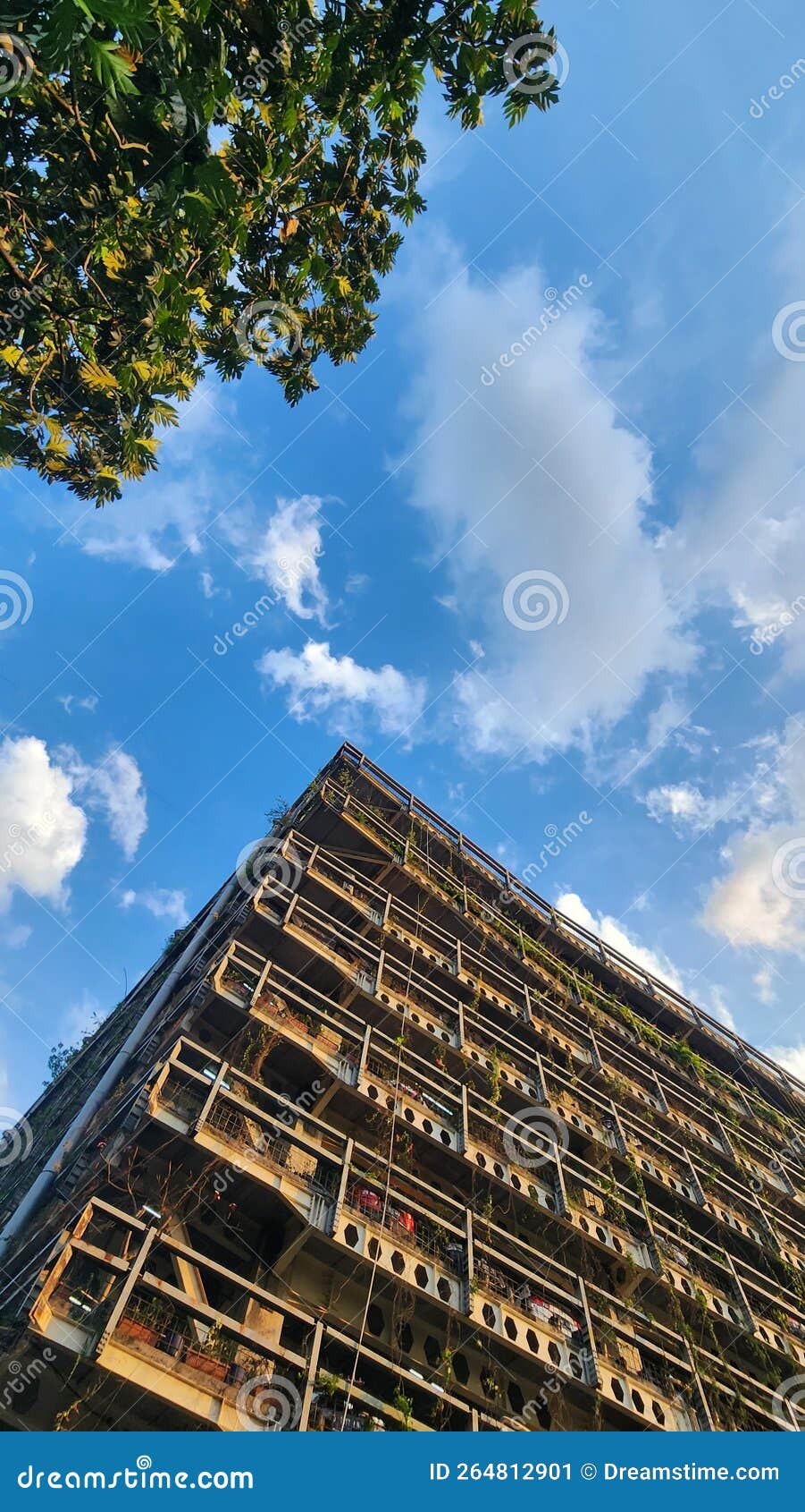 Look Up at the Bulding, the Blue Sky, and the Green Trees Stock Image ...