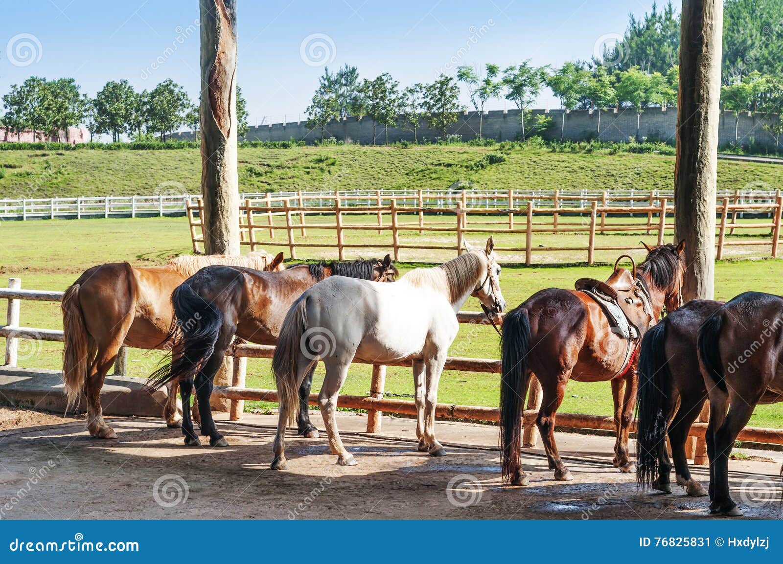 Stables For Horses Royalty-Free Stock Photography | CartoonDealer.com ...