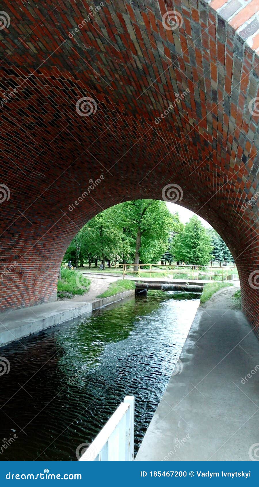Under the bridge . stock photo. Image of park, river - 185467200