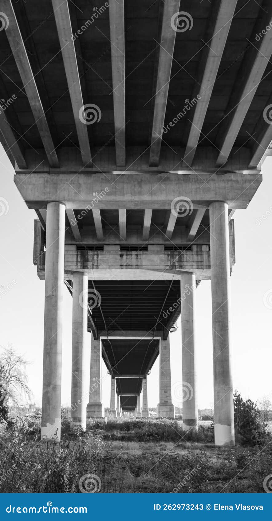 Under Bridge. Concrete Bridge Pillars Stock Image - Image of highway ...