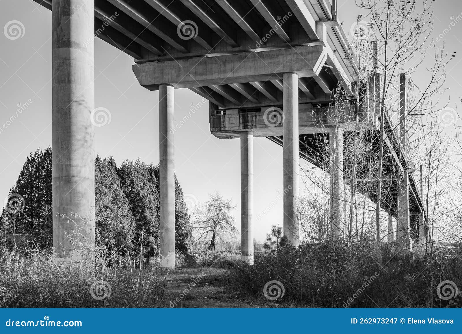 Under Bridge. Concrete Bridge Pillars Stock Image - Image of ...