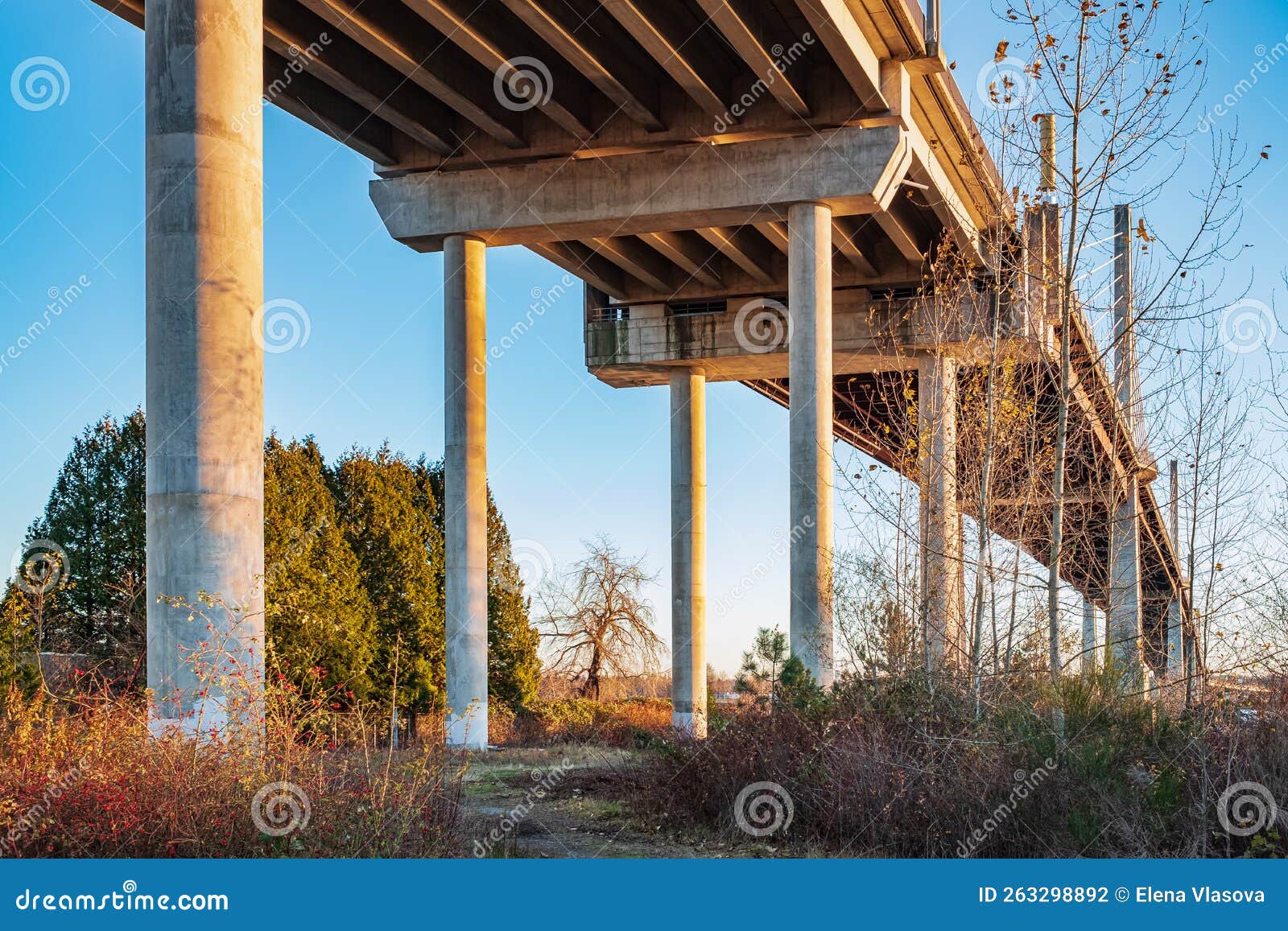 Under Bridge. Concrete Bridge Pillars Stock Photo - Image of ...