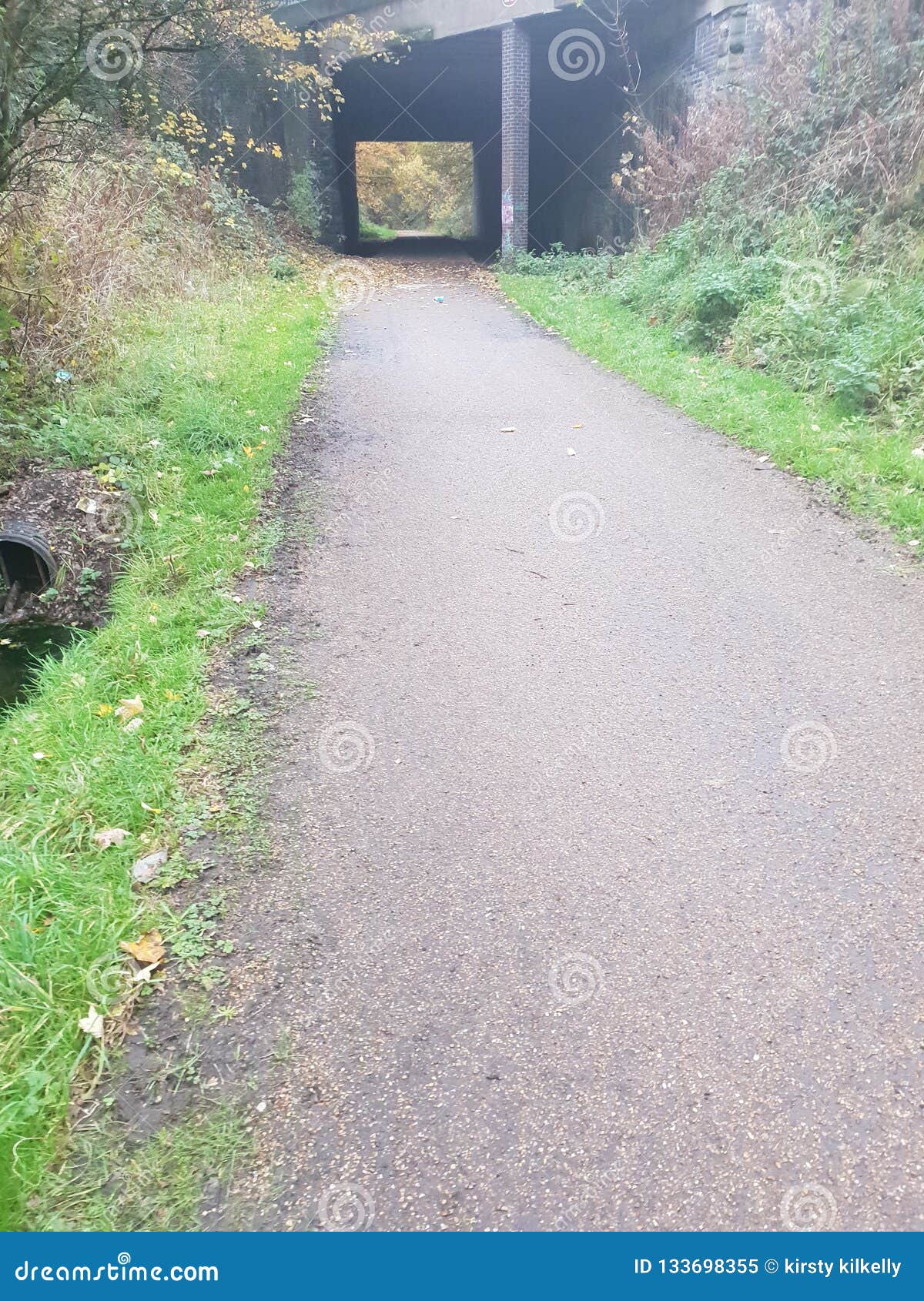 Under bridge stock image. Image of nature, outside, bridge - 133698355