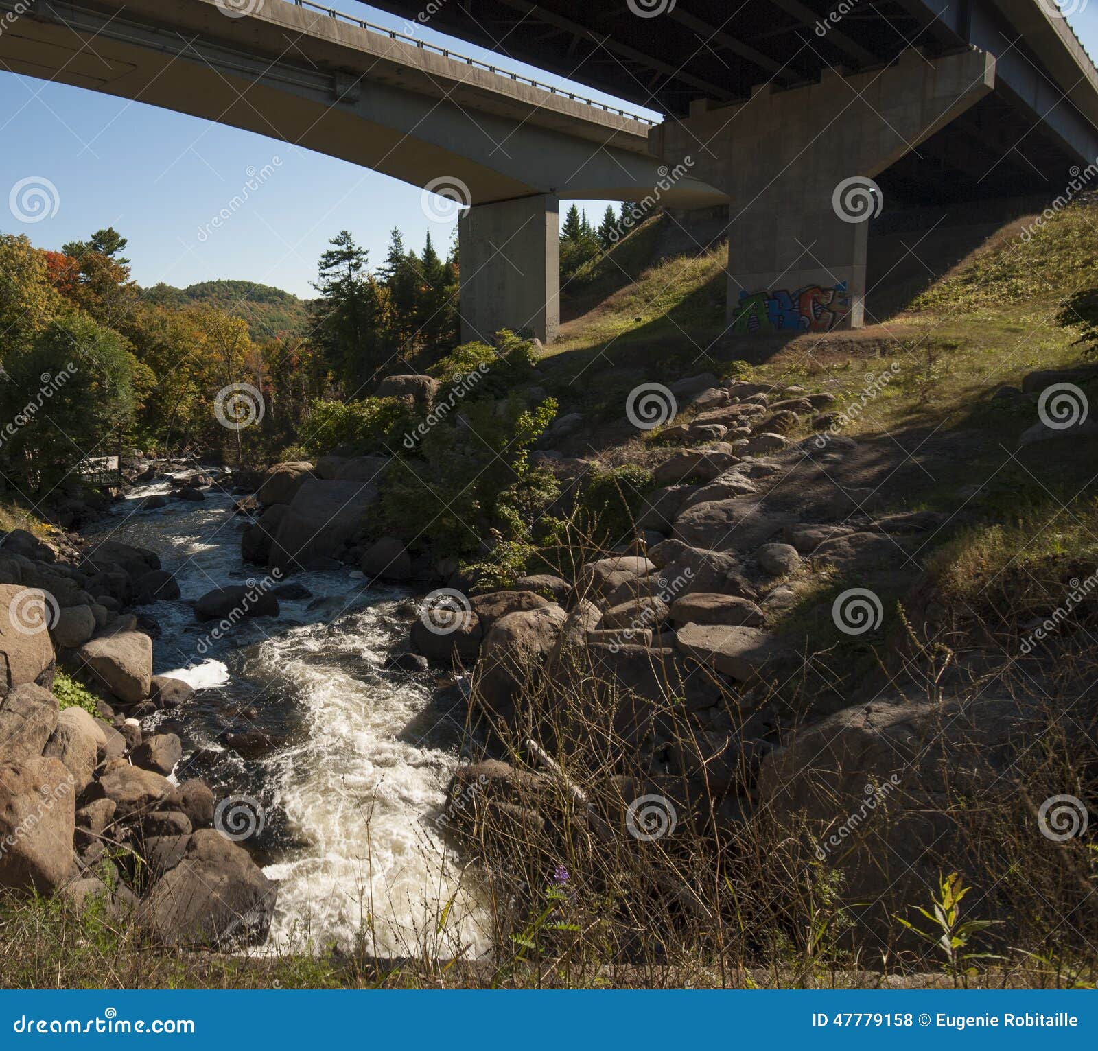 Under bridge with river stock photo. Image of morin, colors - 47779158