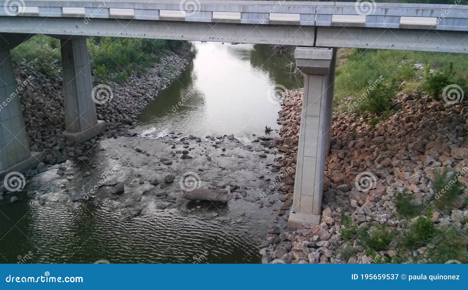 Under a Bridge Water and Concrete Columns Stock Image - Image of tree ...