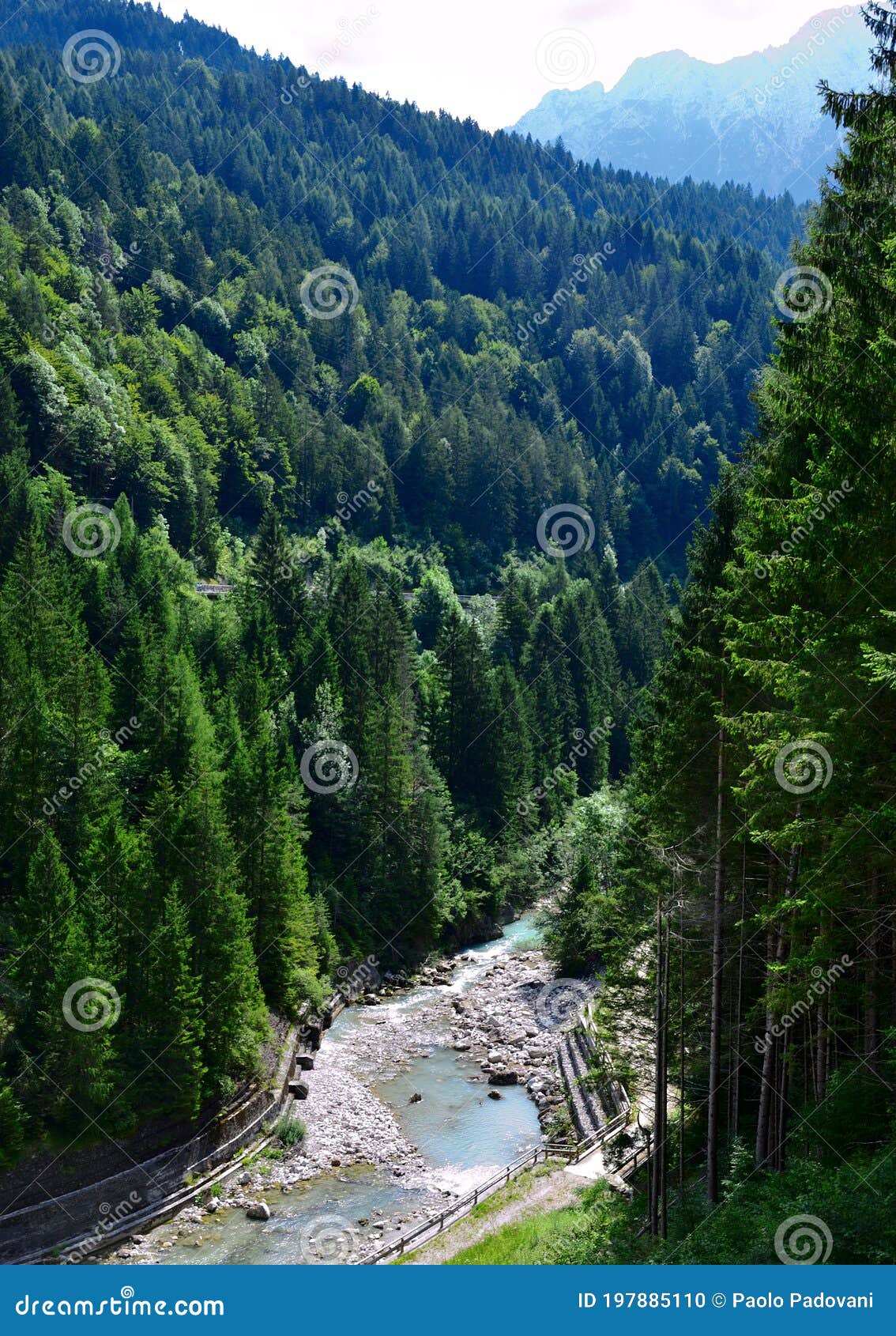 SBA Form 86A Continuation Sheet For Questionnaires SF 86, SF 85 P, And ...