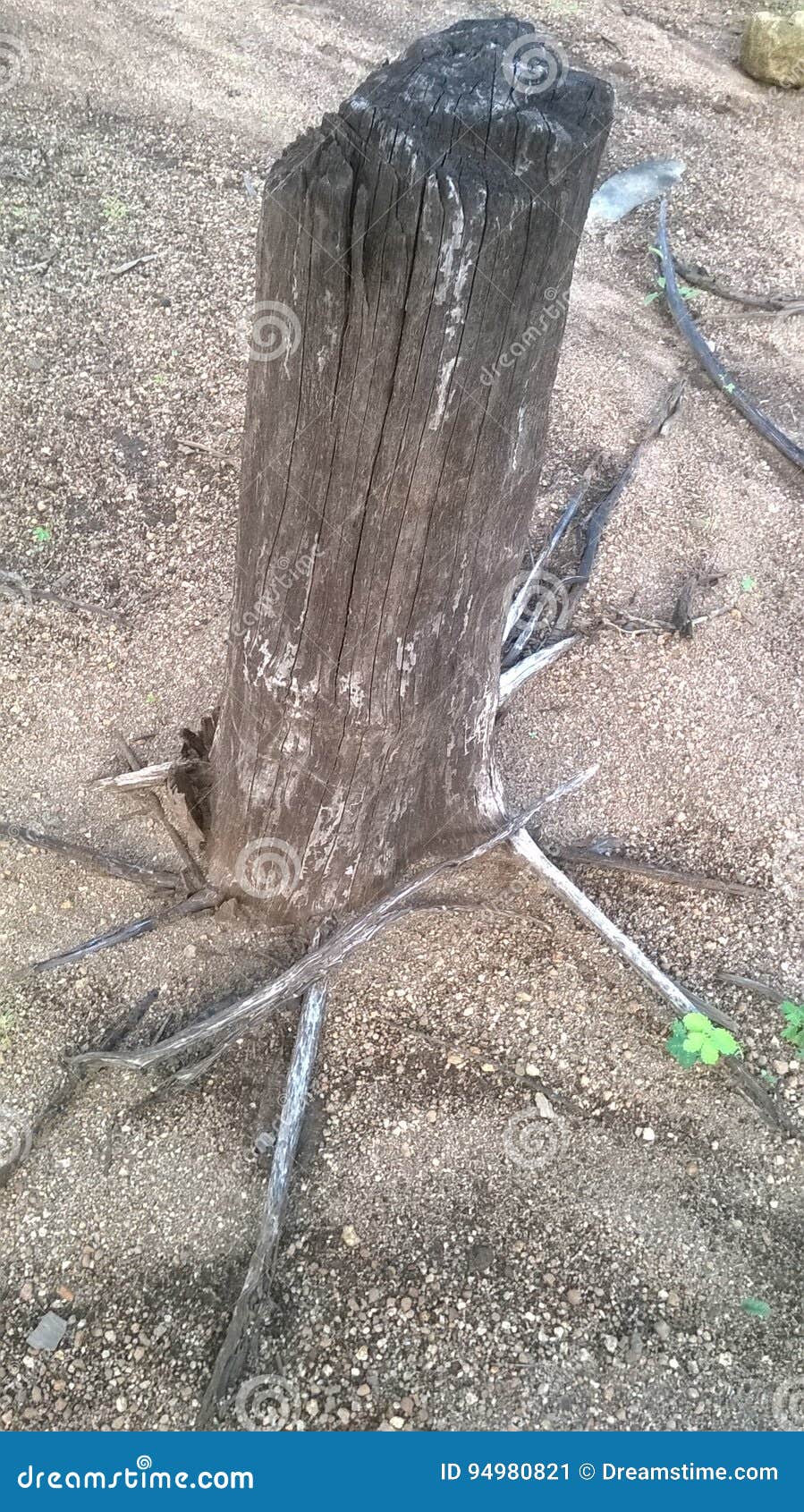 Chimini Photos - Free & Royalty-Free Stock Photos from Dreamstime